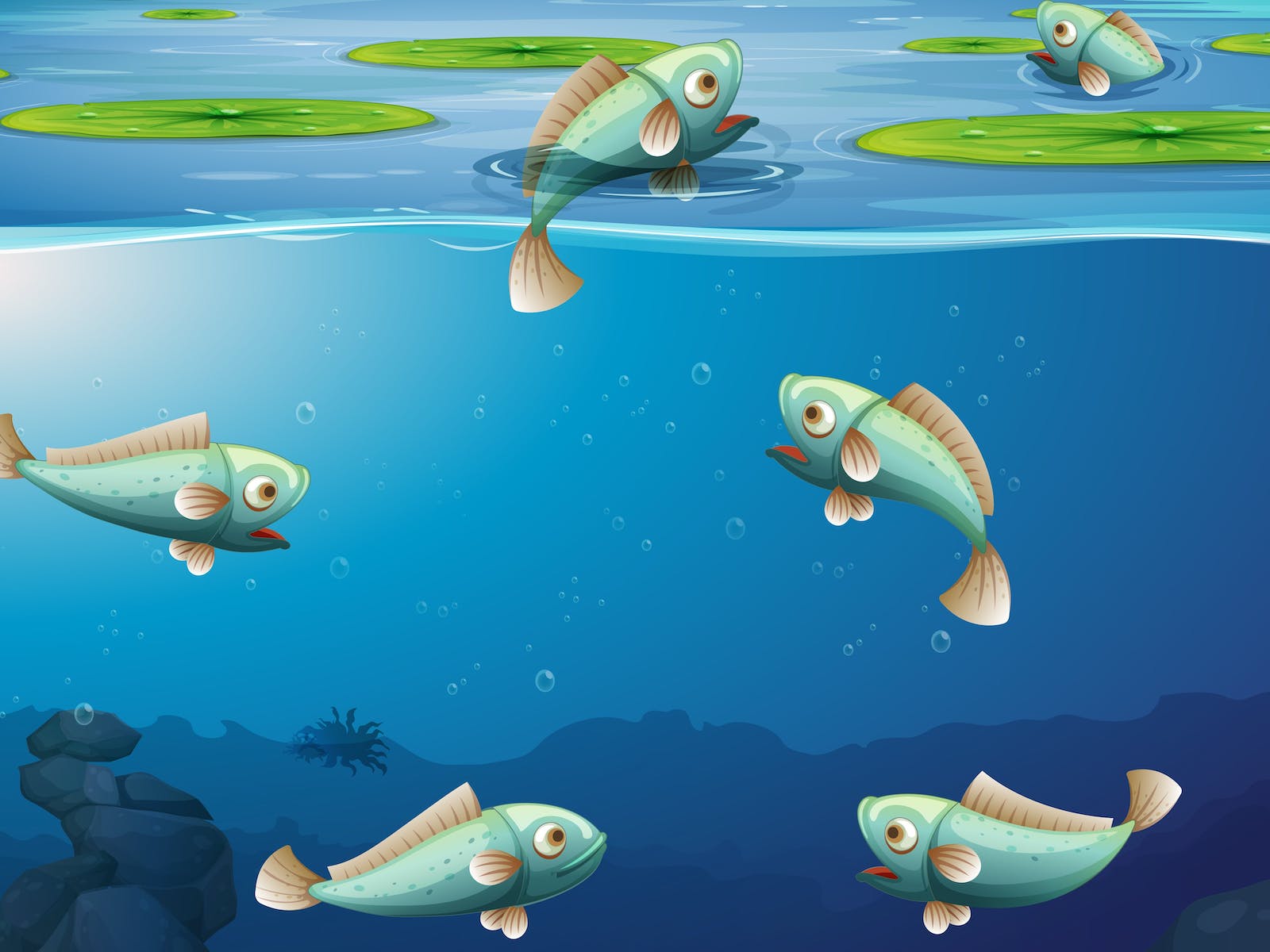 Aquaculture Wallpapers - Top Free Aquaculture Backgrounds - WallpaperAccess