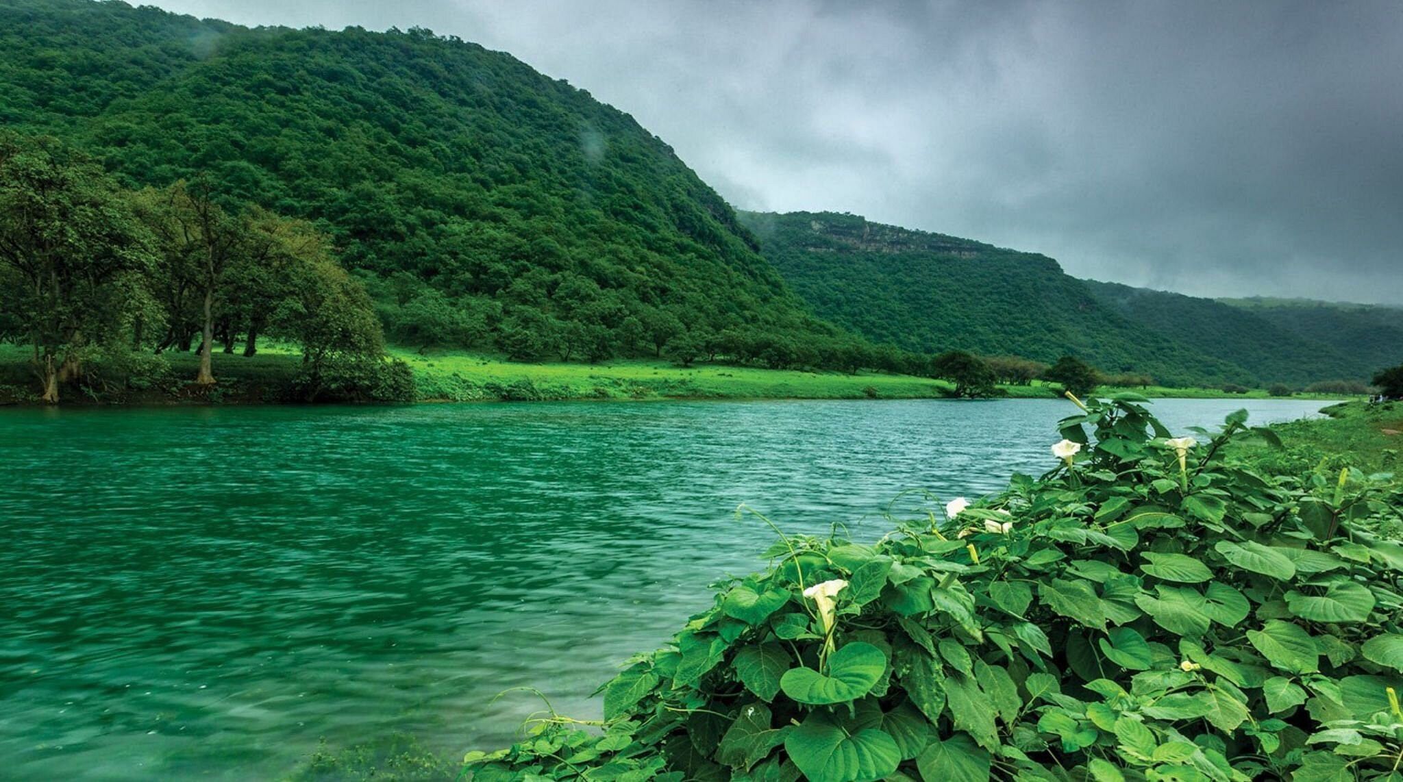 Salalah Wallpapers - Top Free Salalah Backgrounds - WallpaperAccess