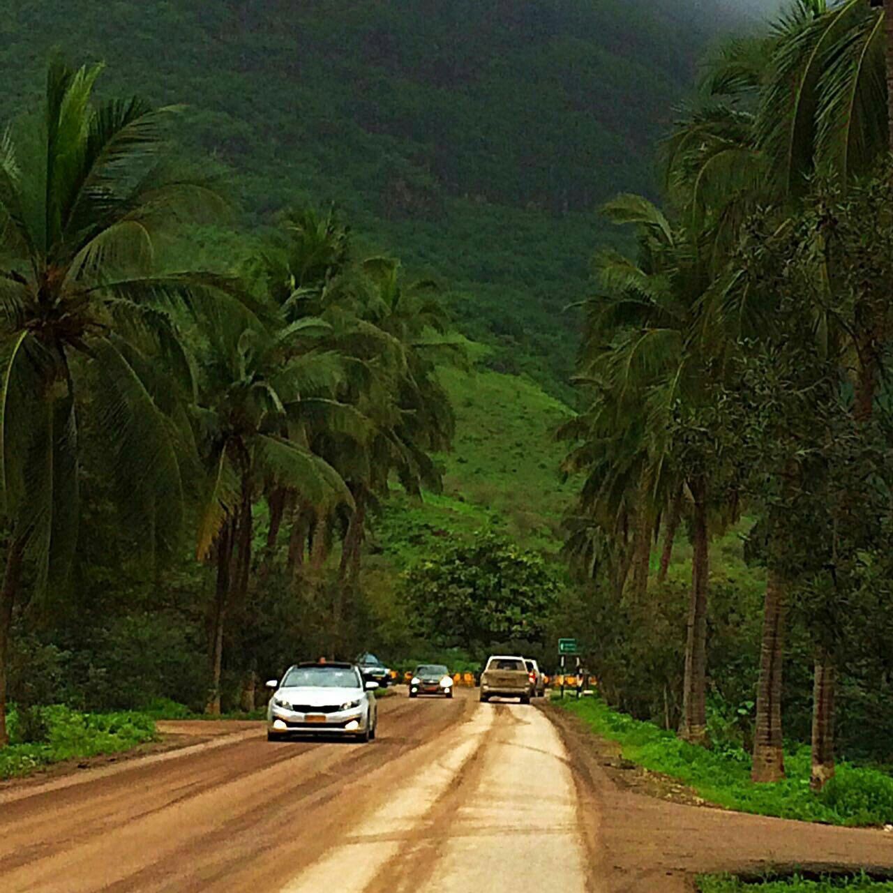 Salalah Wallpapers - Top Free Salalah Backgrounds - WallpaperAccess