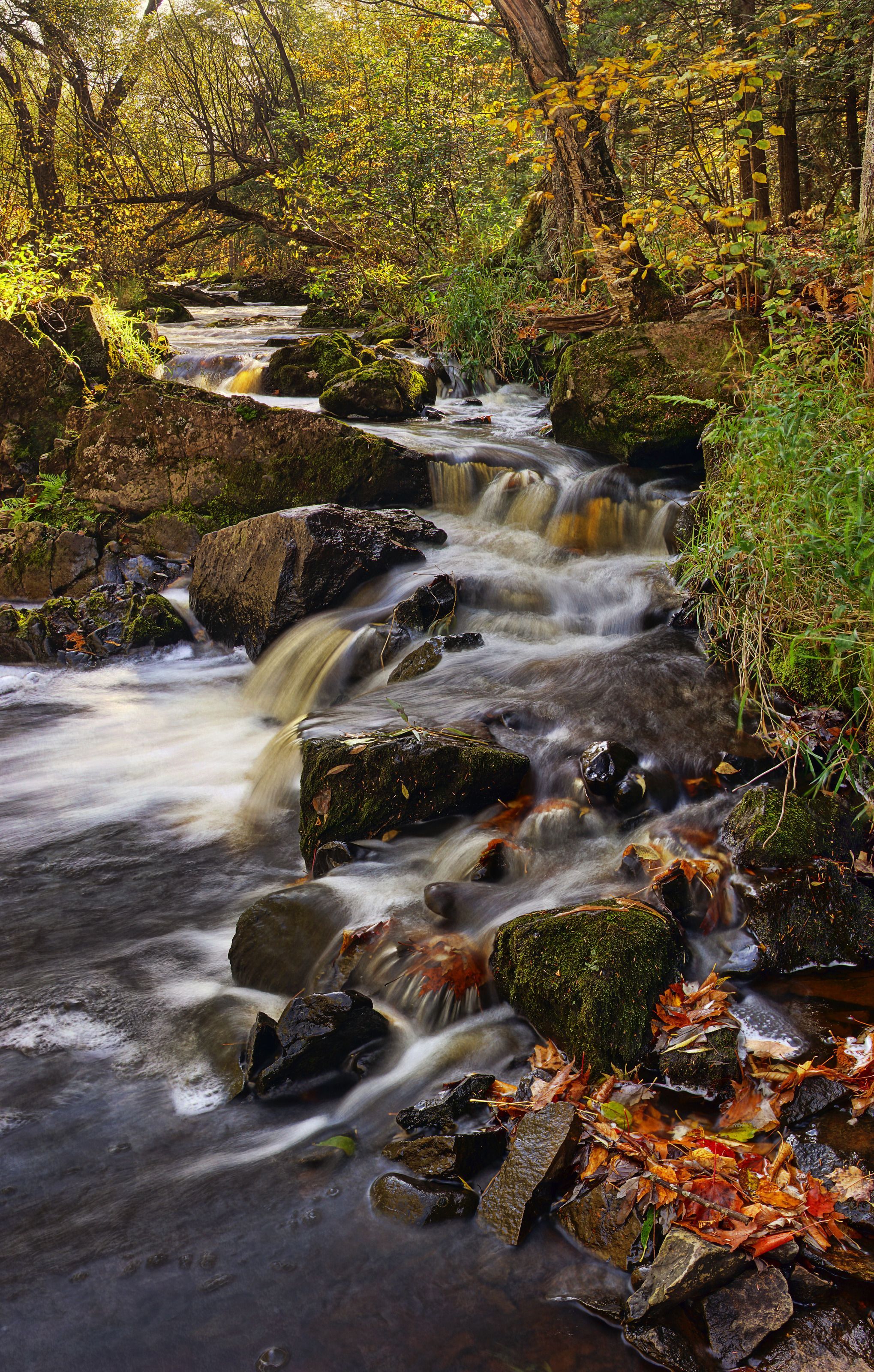 River Bank Wallpapers - Top Free River Bank Backgrounds - WallpaperAccess