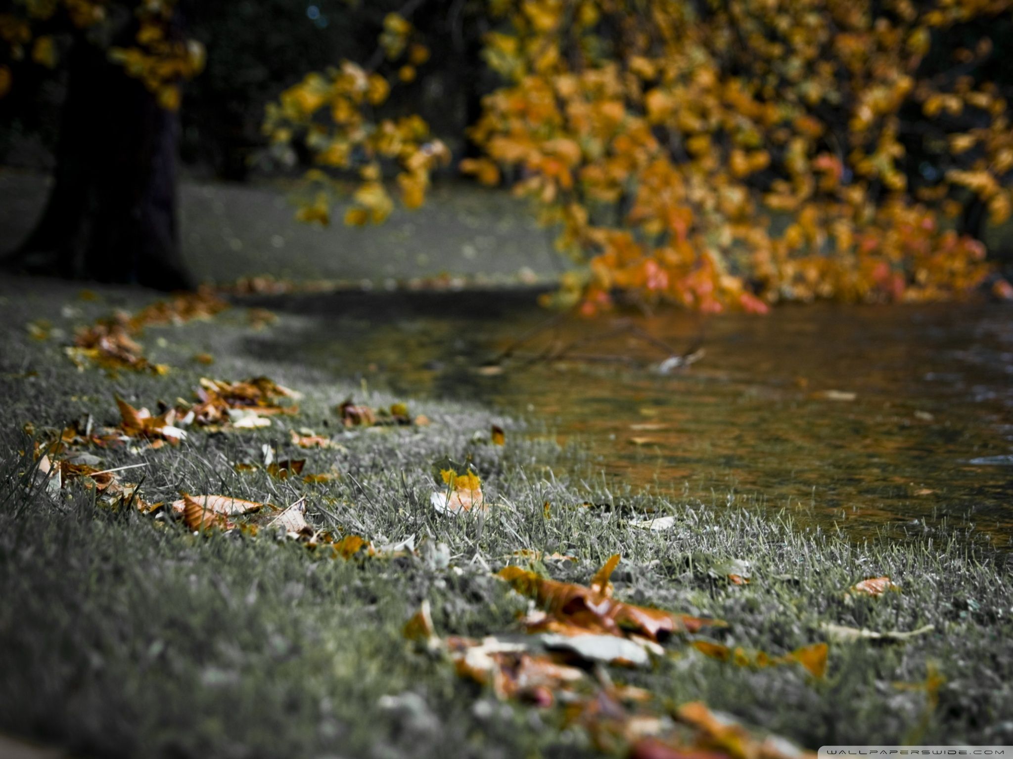 River Bank Wallpapers - Top Free River Bank Backgrounds - WallpaperAccess