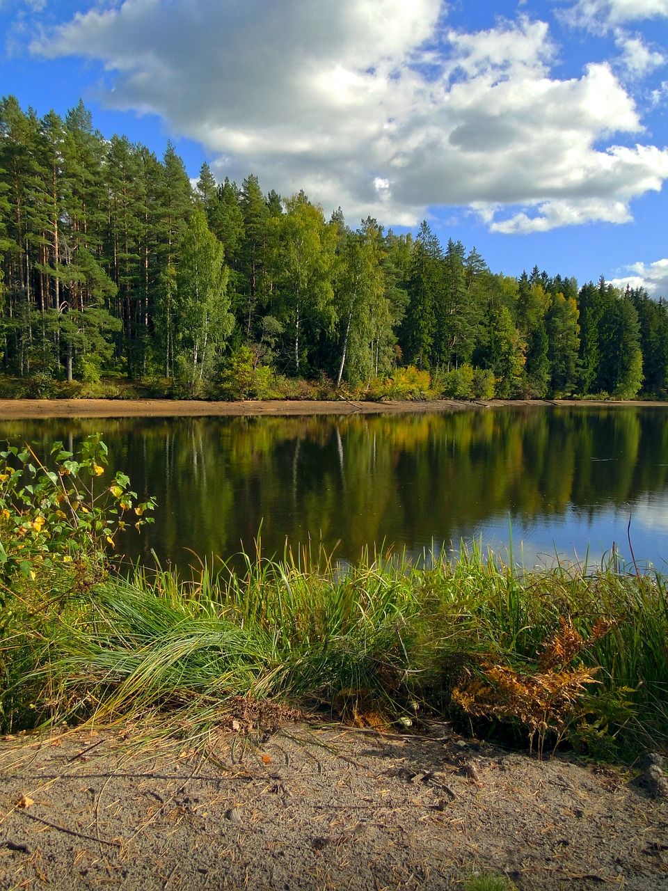 River Bank Wallpapers - Top Free River Bank Backgrounds - WallpaperAccess