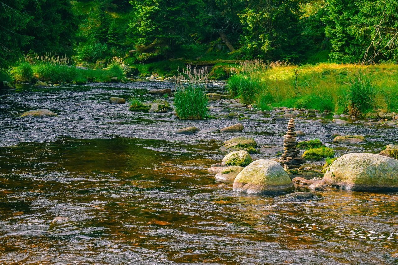 River Bank Wallpapers - Top Free River Bank Backgrounds - WallpaperAccess