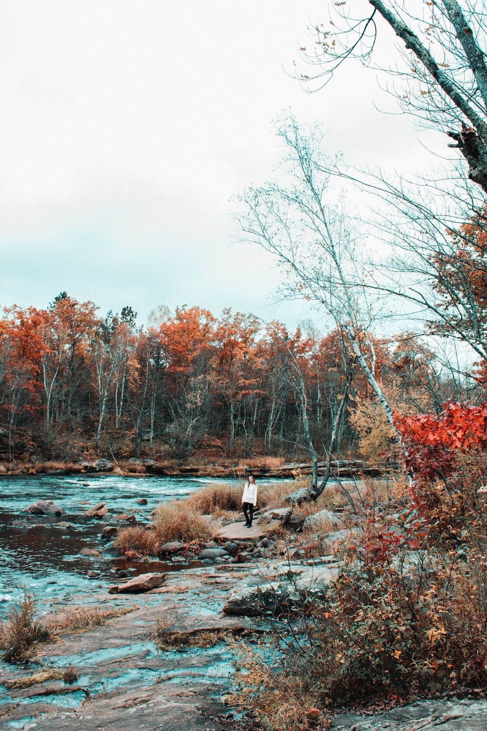 River Bank Wallpapers - Top Free River Bank Backgrounds - WallpaperAccess