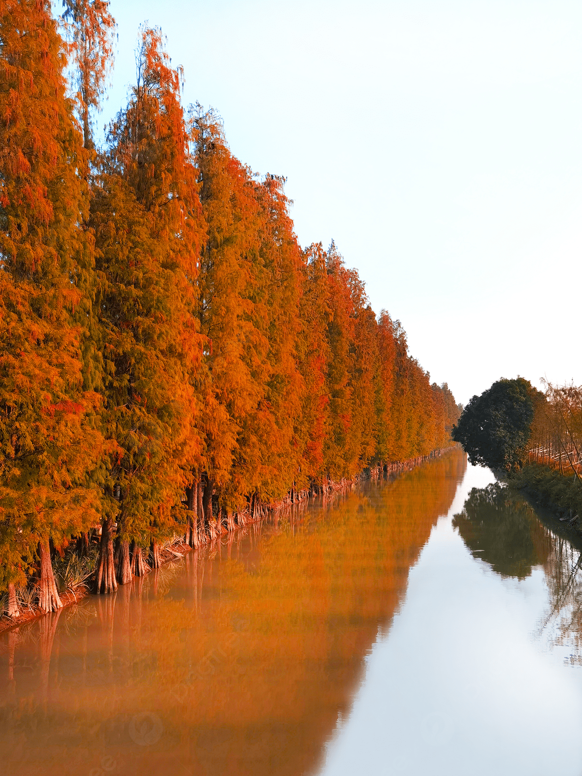 River Bank Wallpapers - Top Free River Bank Backgrounds - WallpaperAccess