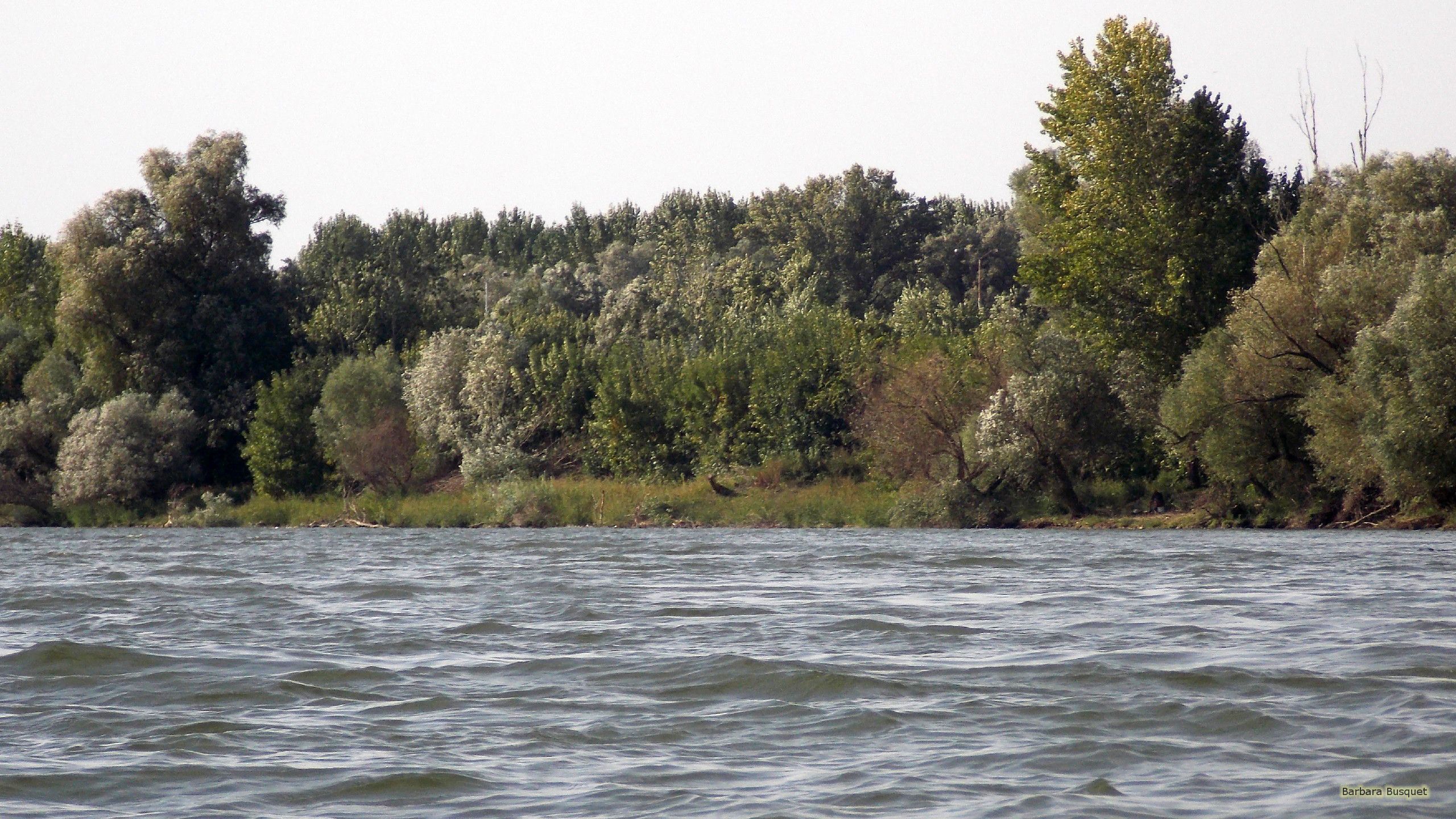 River Bank Wallpapers - Top Free River Bank Backgrounds - WallpaperAccess