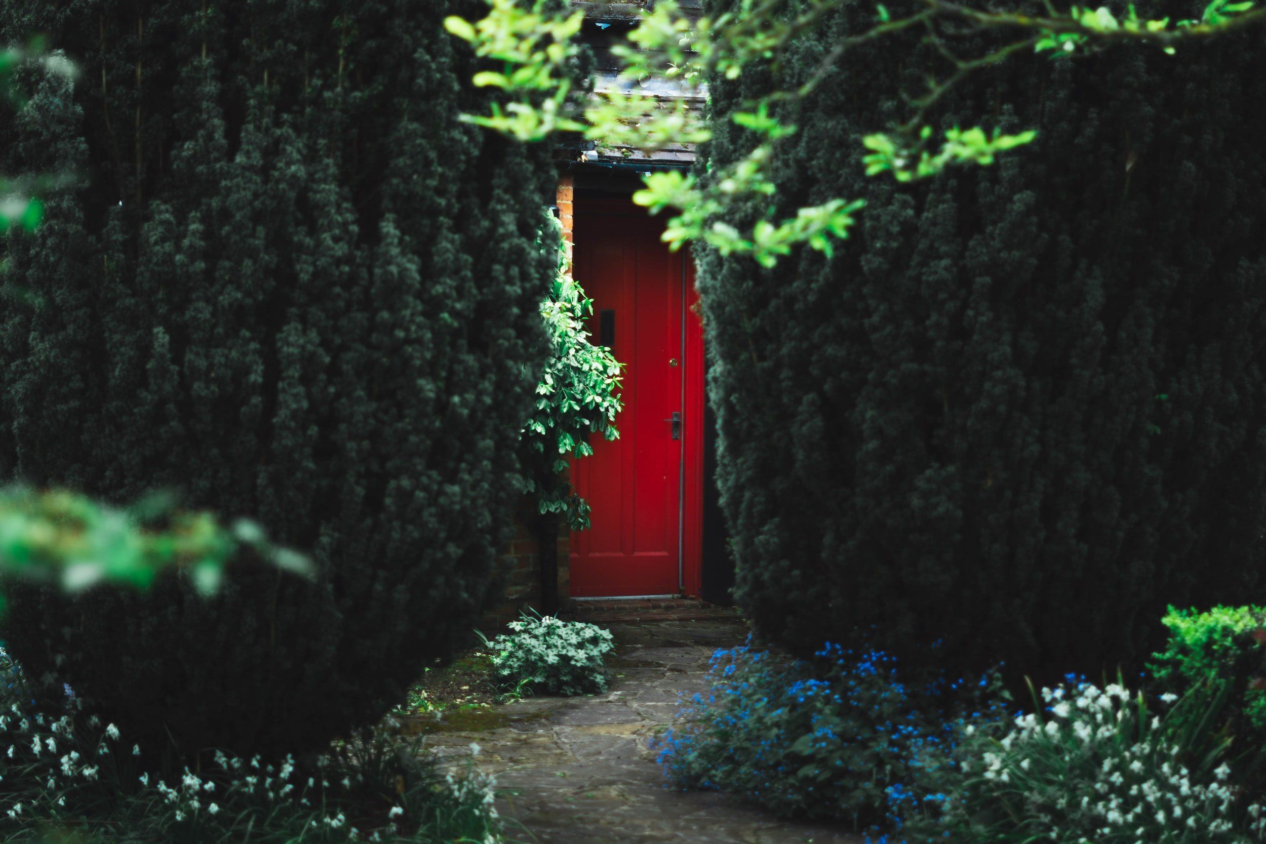 Red Door Wallpapers - Top Free Red Door Backgrounds - WallpaperAccess