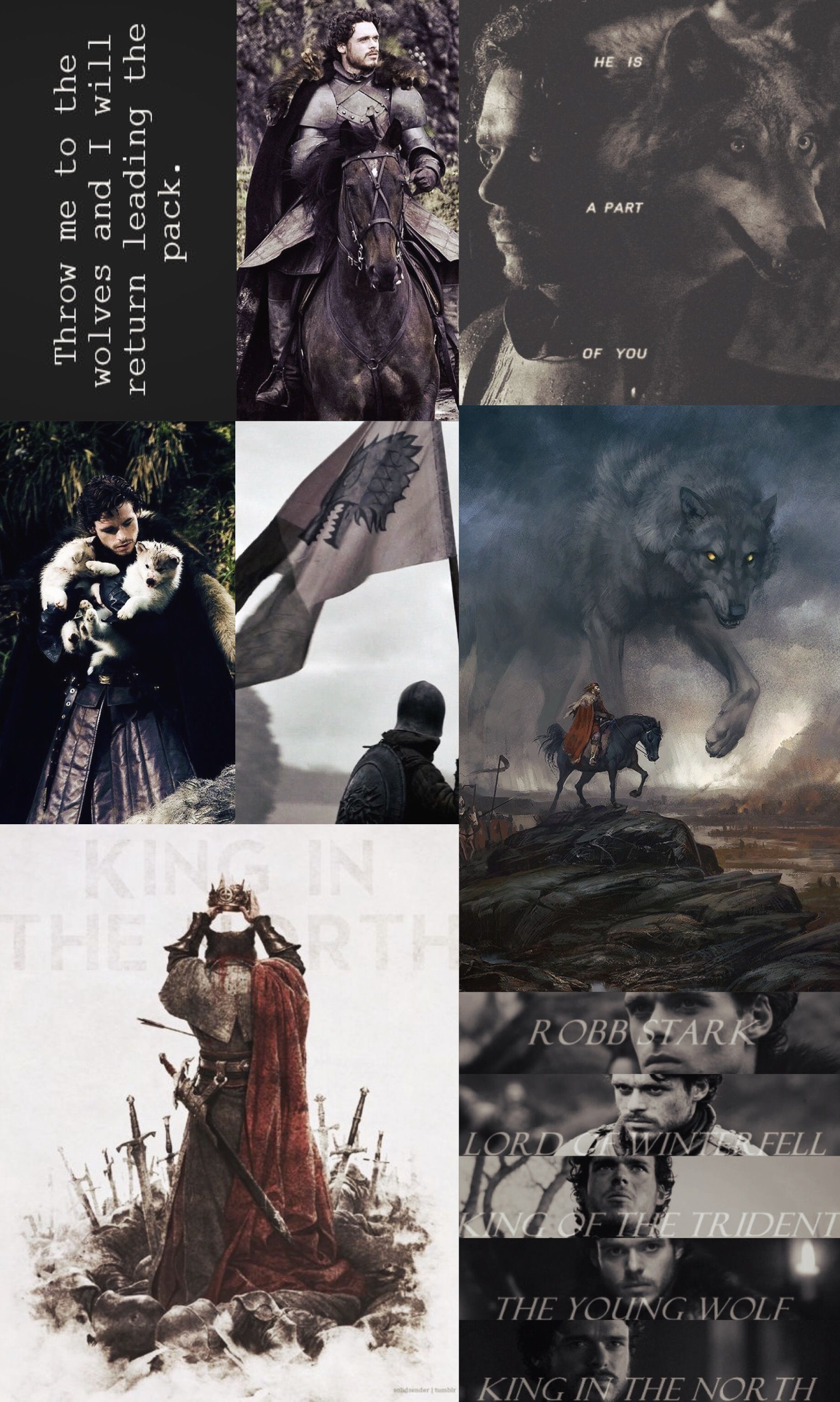 King In The North Wallpapers - Top Free King In The North Backgrounds ...