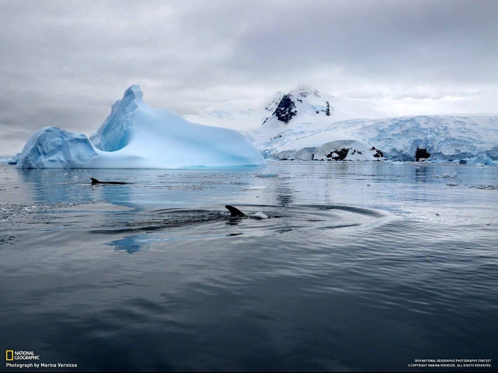 National Geographic Ocean Wallpapers - Top Free National Geographic ...