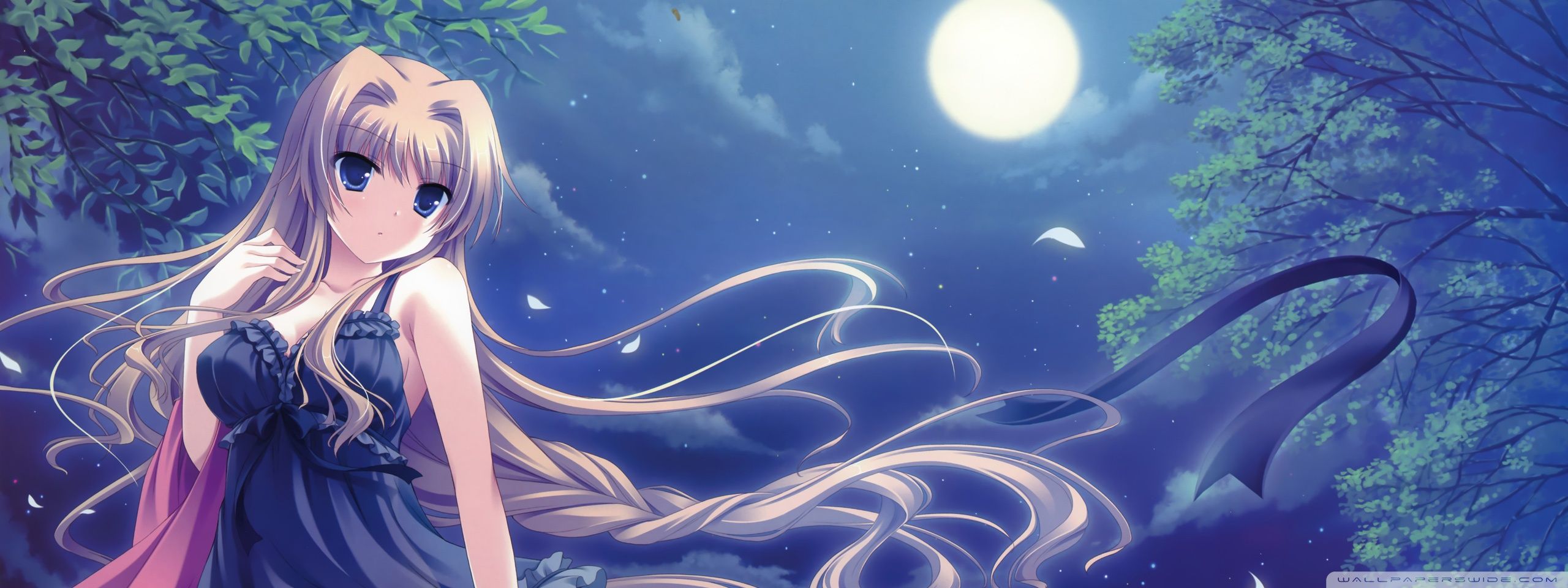 Dual Monitor Girl Wallpapers - Top Free Dual Monitor Girl Backgrounds ...