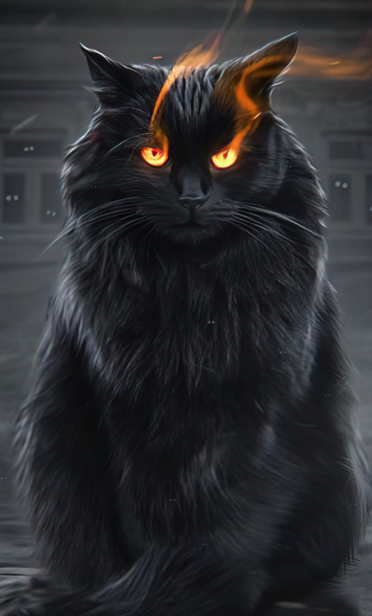 Fantasy Cat Wallpapers - Top Free Fantasy Cat Backgrounds - WallpaperAccess