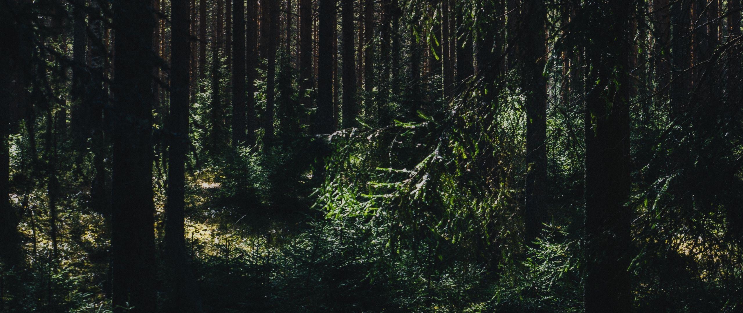 Finland Wallpapers - Top Free Finland Backgrounds - WallpaperAccess