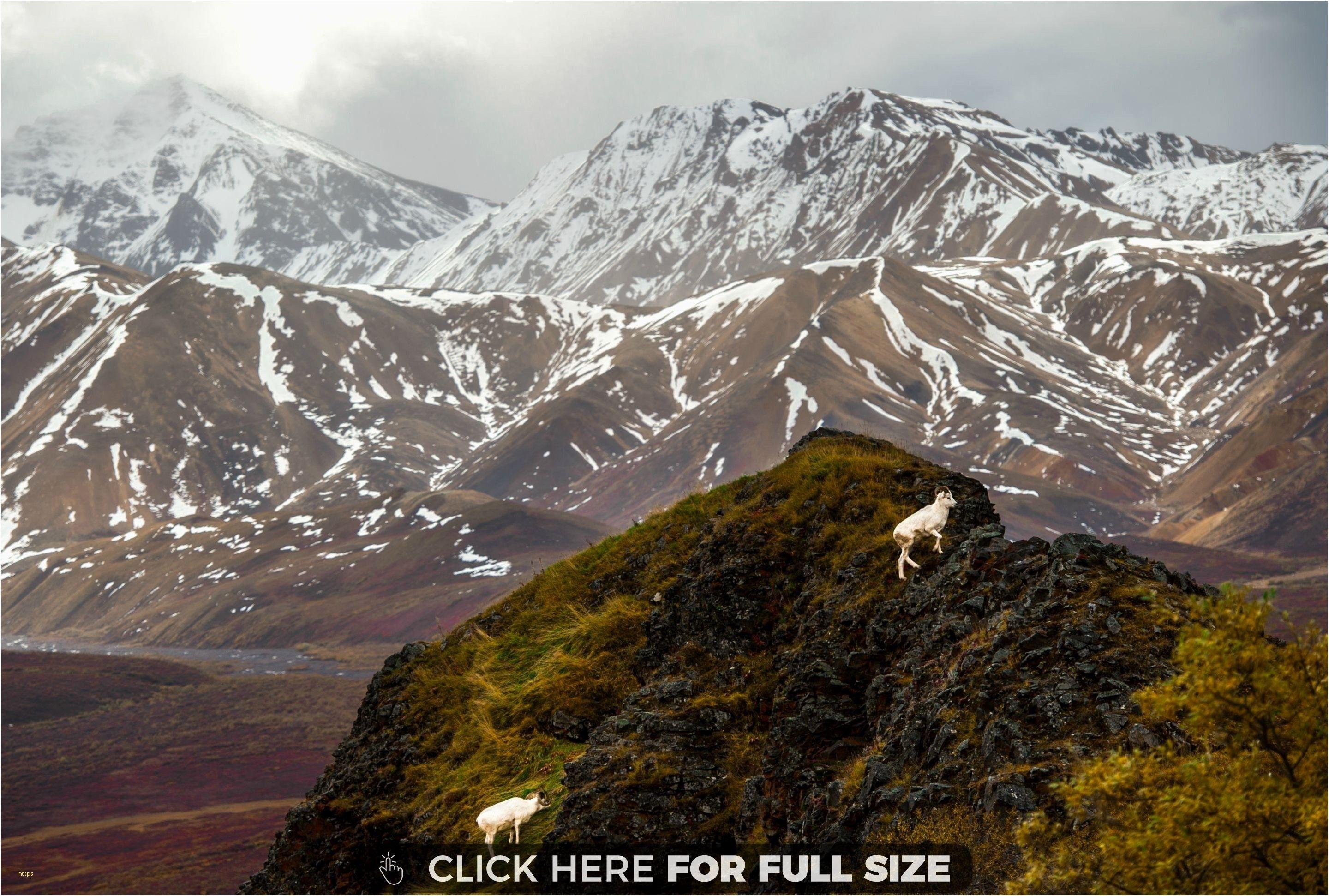 Alaska Wallpapers - Top Free Alaska Backgrounds - WallpaperAccess