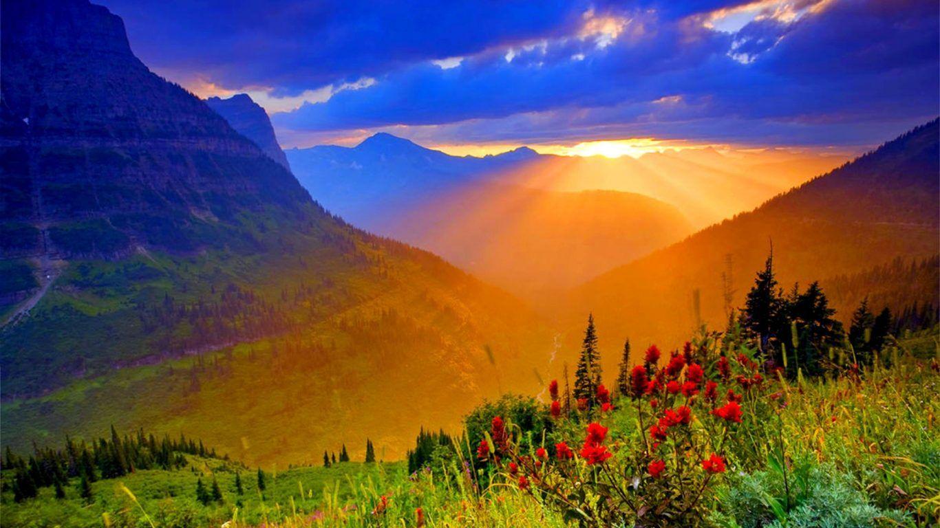 64K Wallpapers - Top Free 64K Backgrounds - WallpaperAccess