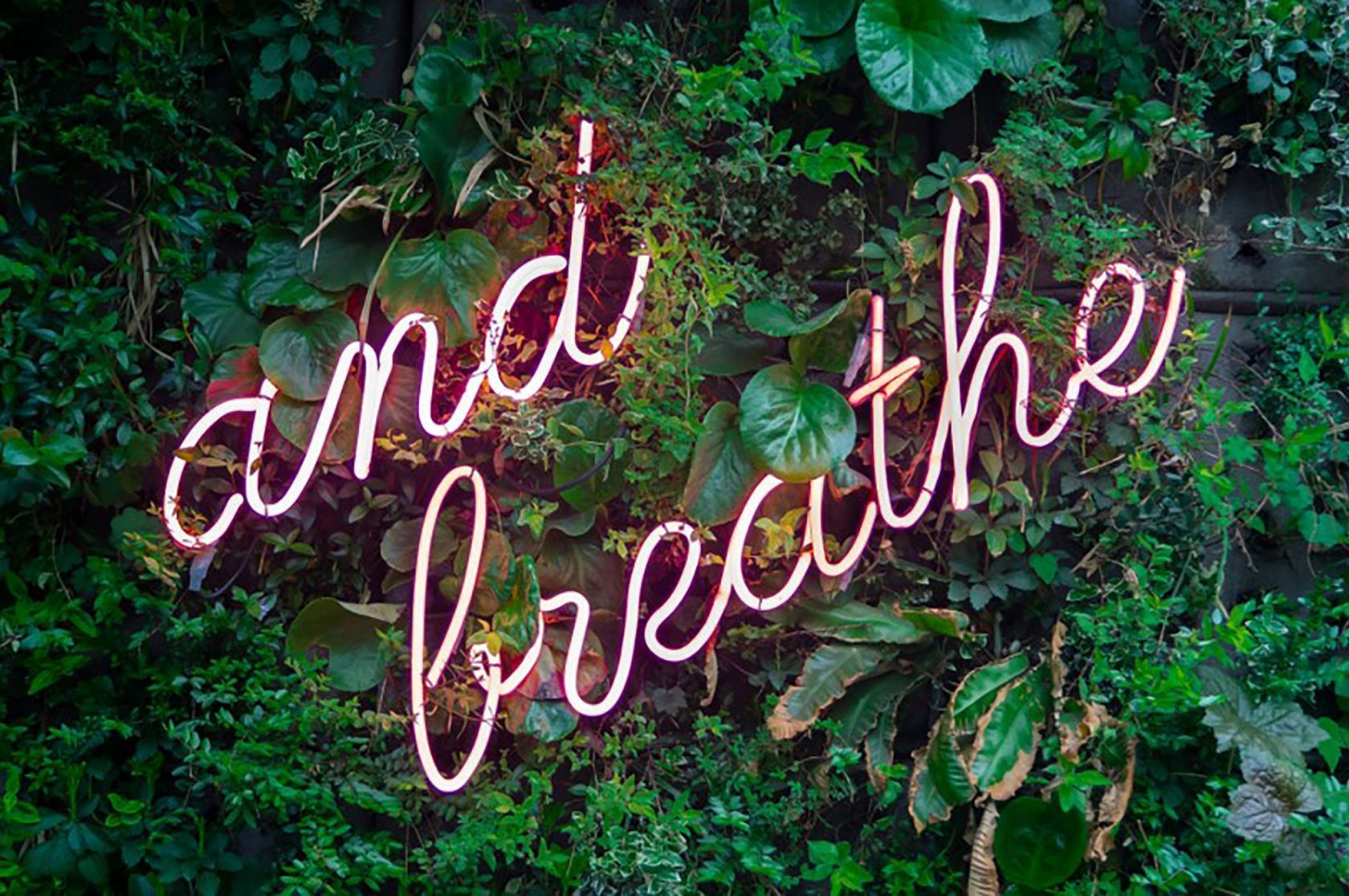 Wellbeing Wallpapers - Top Free Wellbeing Backgrounds - WallpaperAccess