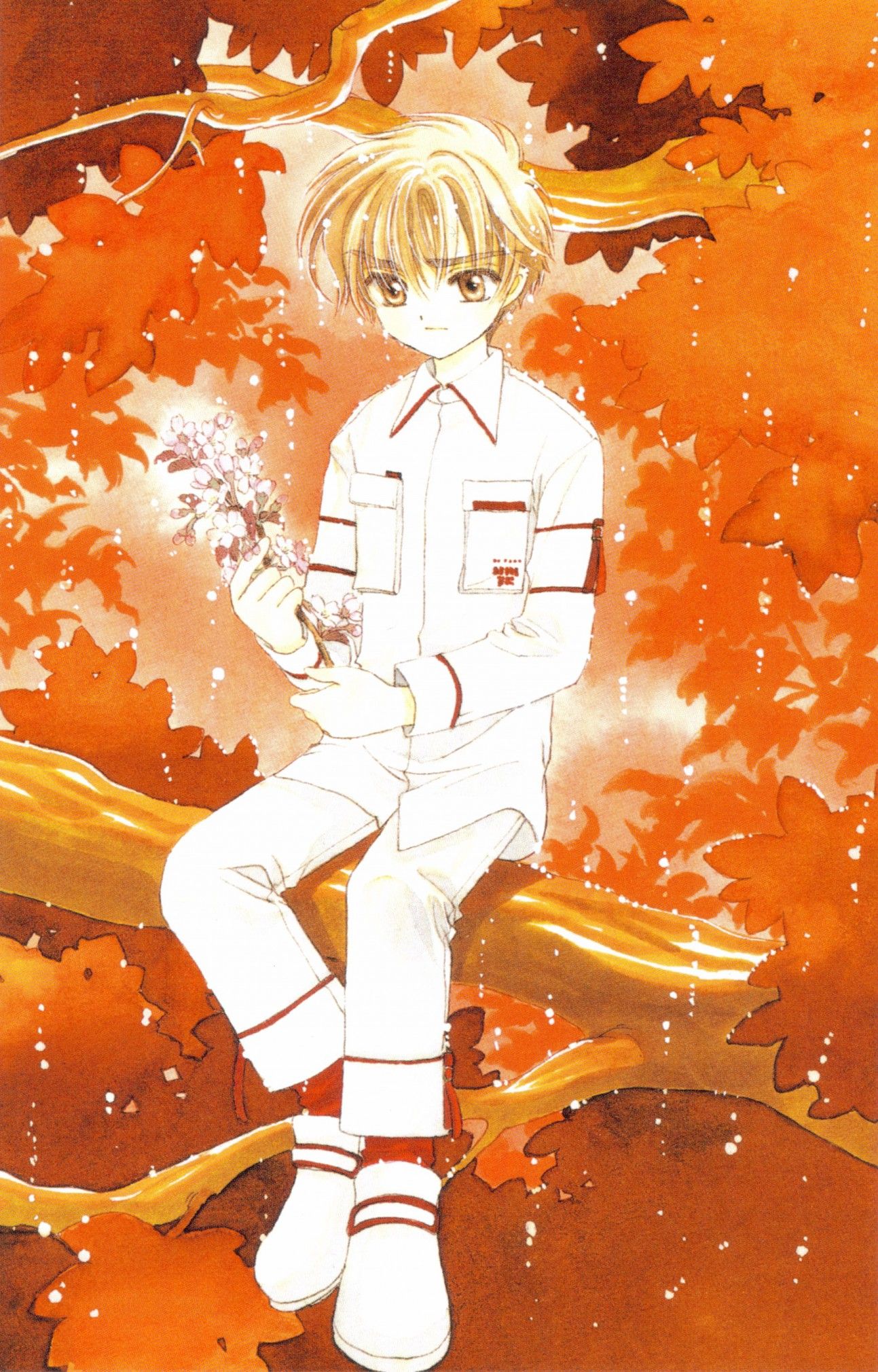 Syaoran Li Wallpapers - Top Free Syaoran Li Backgrounds - WallpaperAccess