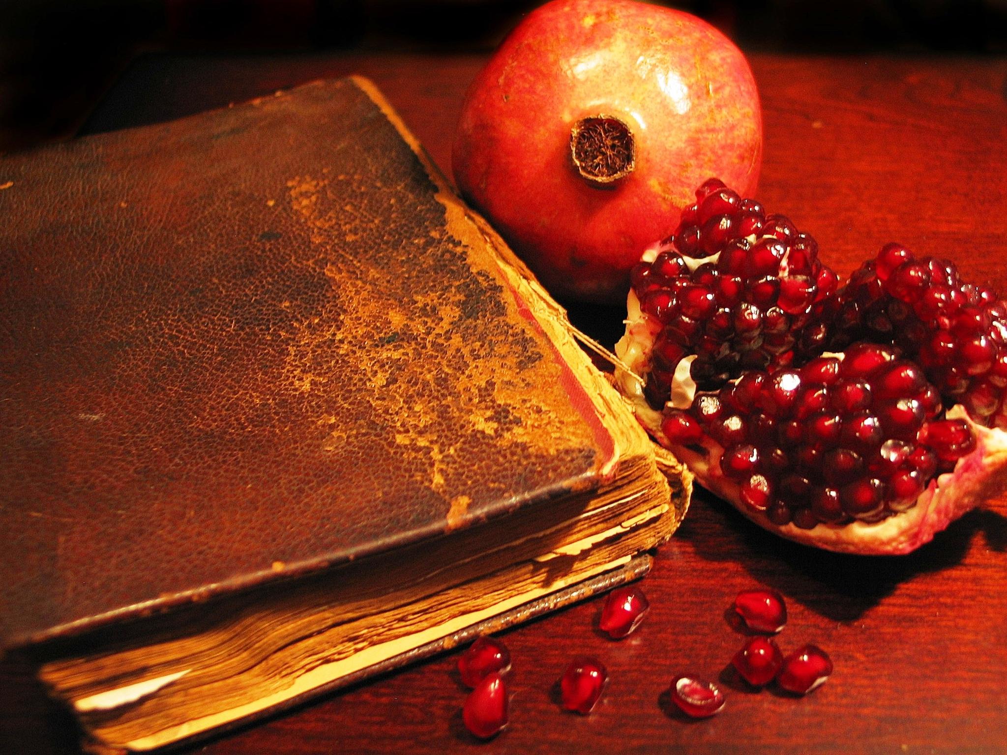 Yalda Wallpapers - Top Free Yalda Backgrounds - WallpaperAccess