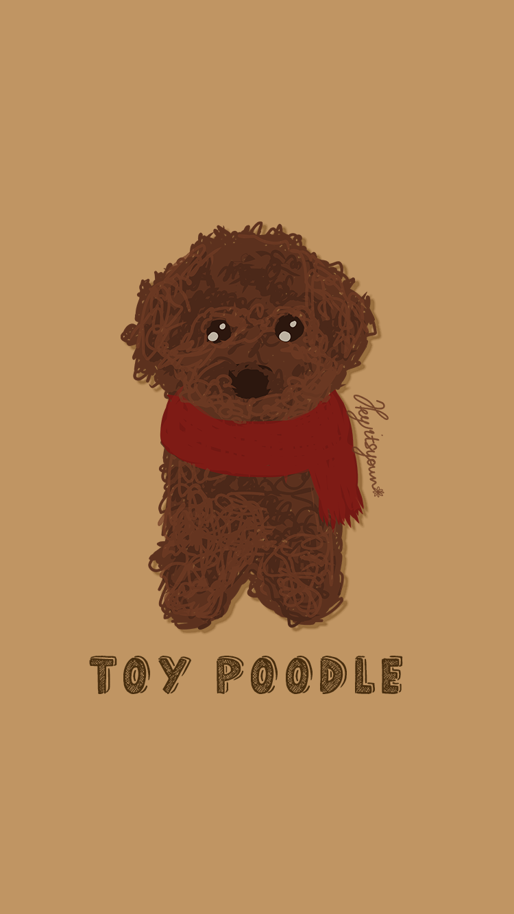 Poodle Toy Wallpapers - Top Free Poodle Toy Backgrounds - WallpaperAccess