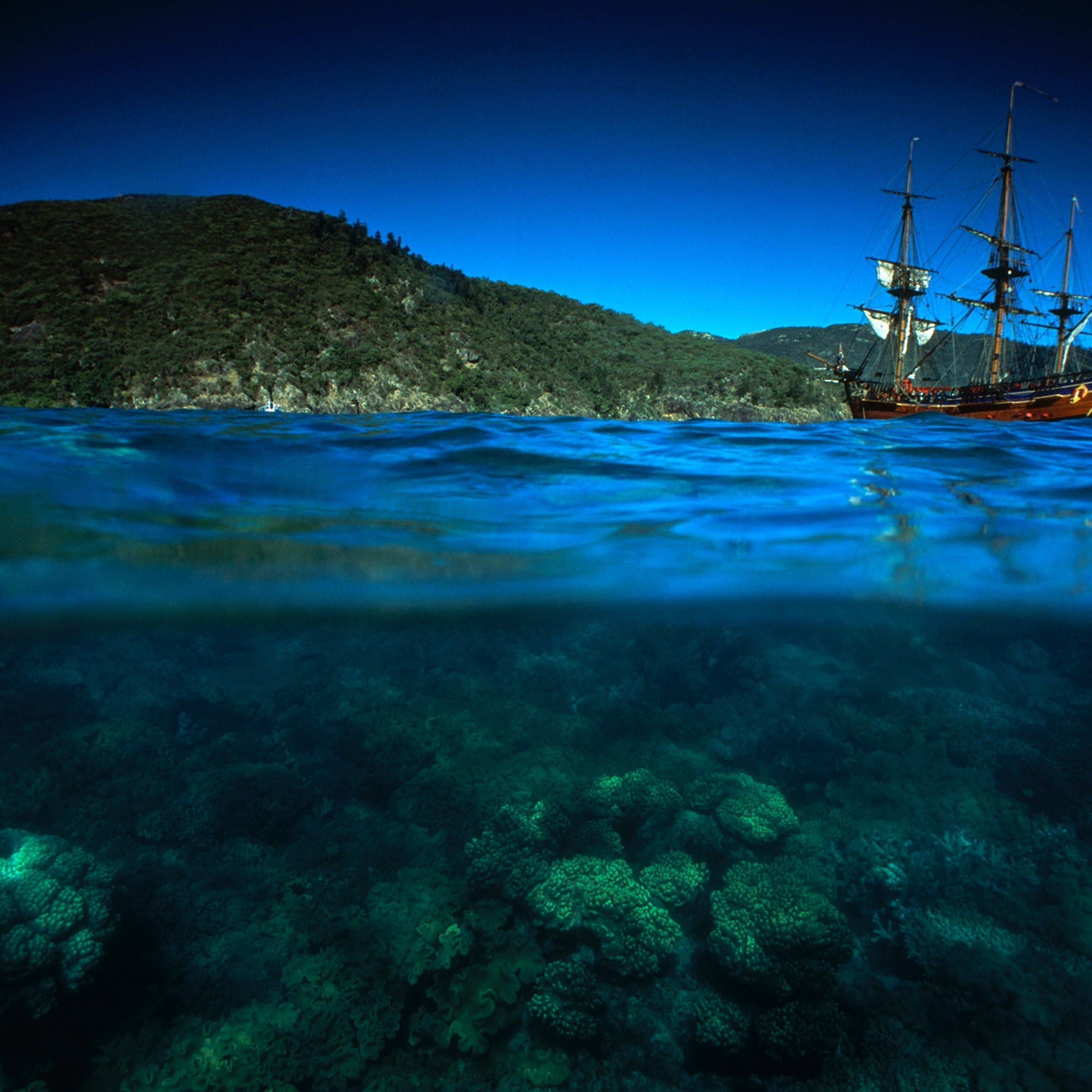 Ship Captain Wallpapers - Top Free Ship Captain Backgrounds ...