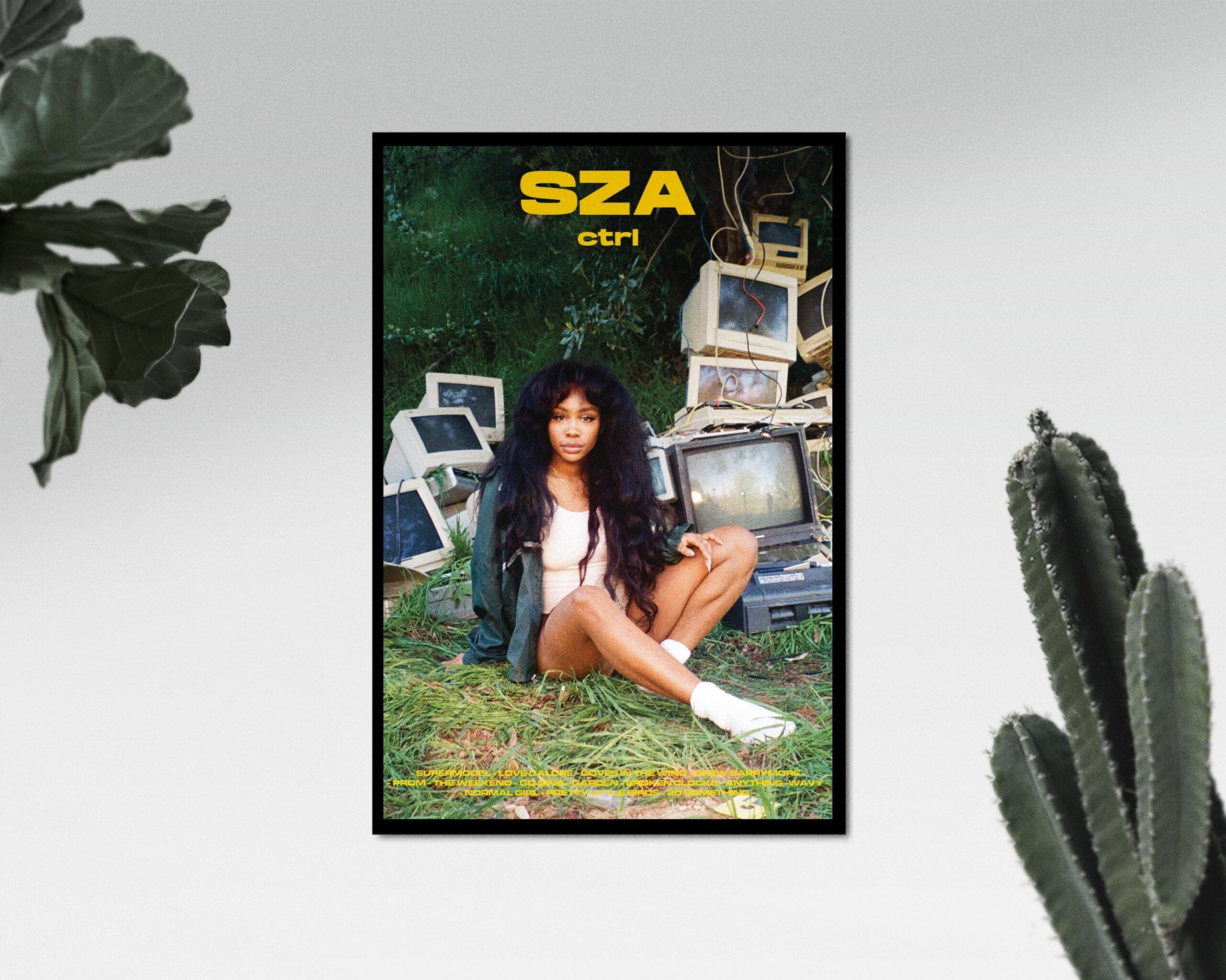 Sza Ctrl Wallpapers - Top Free Sza Ctrl Backgrounds - WallpaperAccess