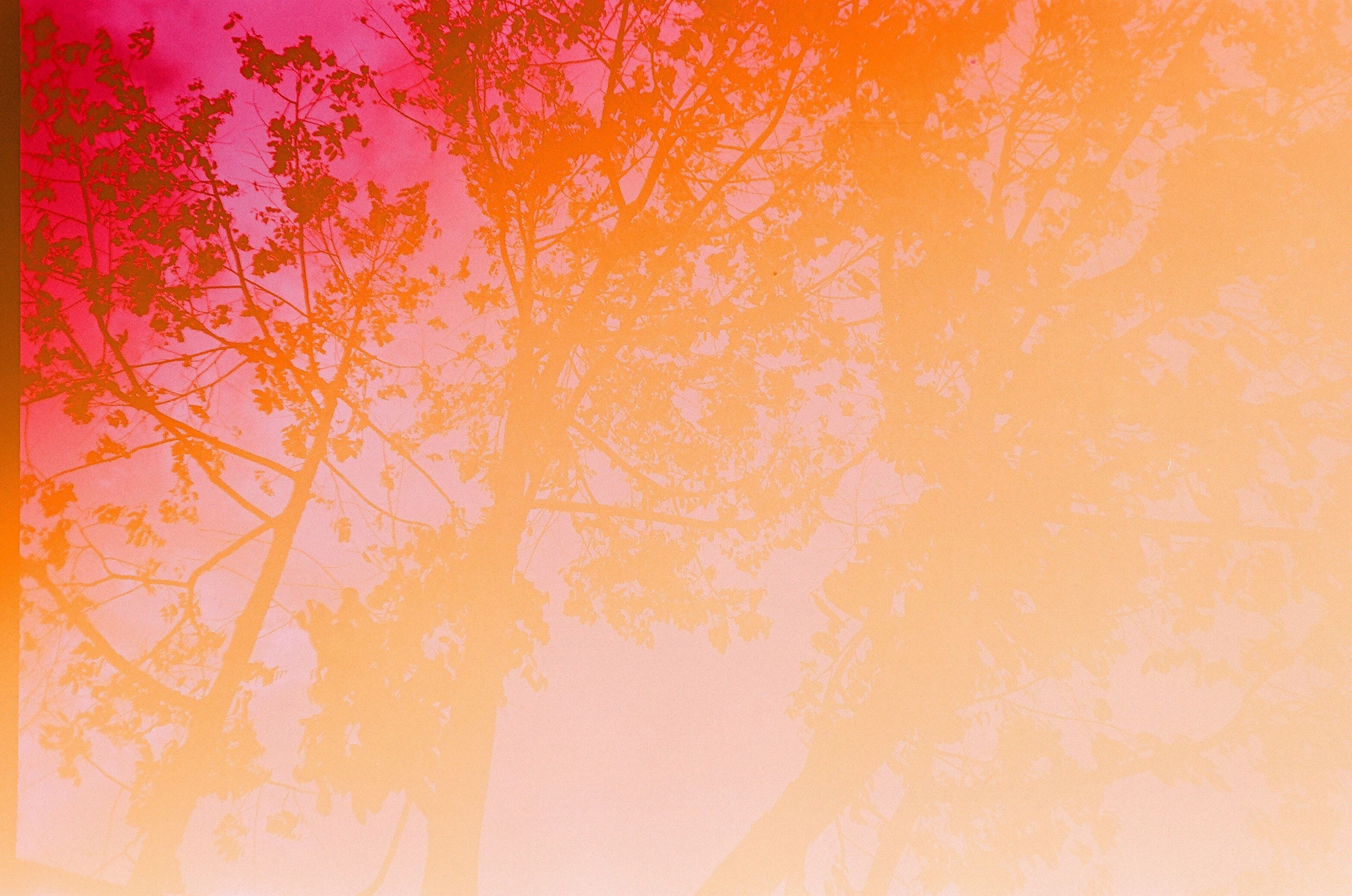 Banner Design Wallpapers - Top Free Banner Design Backgrounds ...