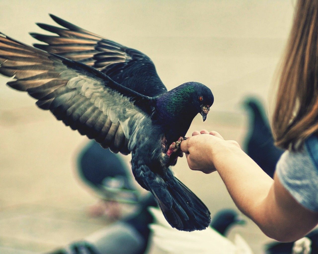 Reliance Wallpapers - Top Free Reliance Backgrounds - WallpaperAccess