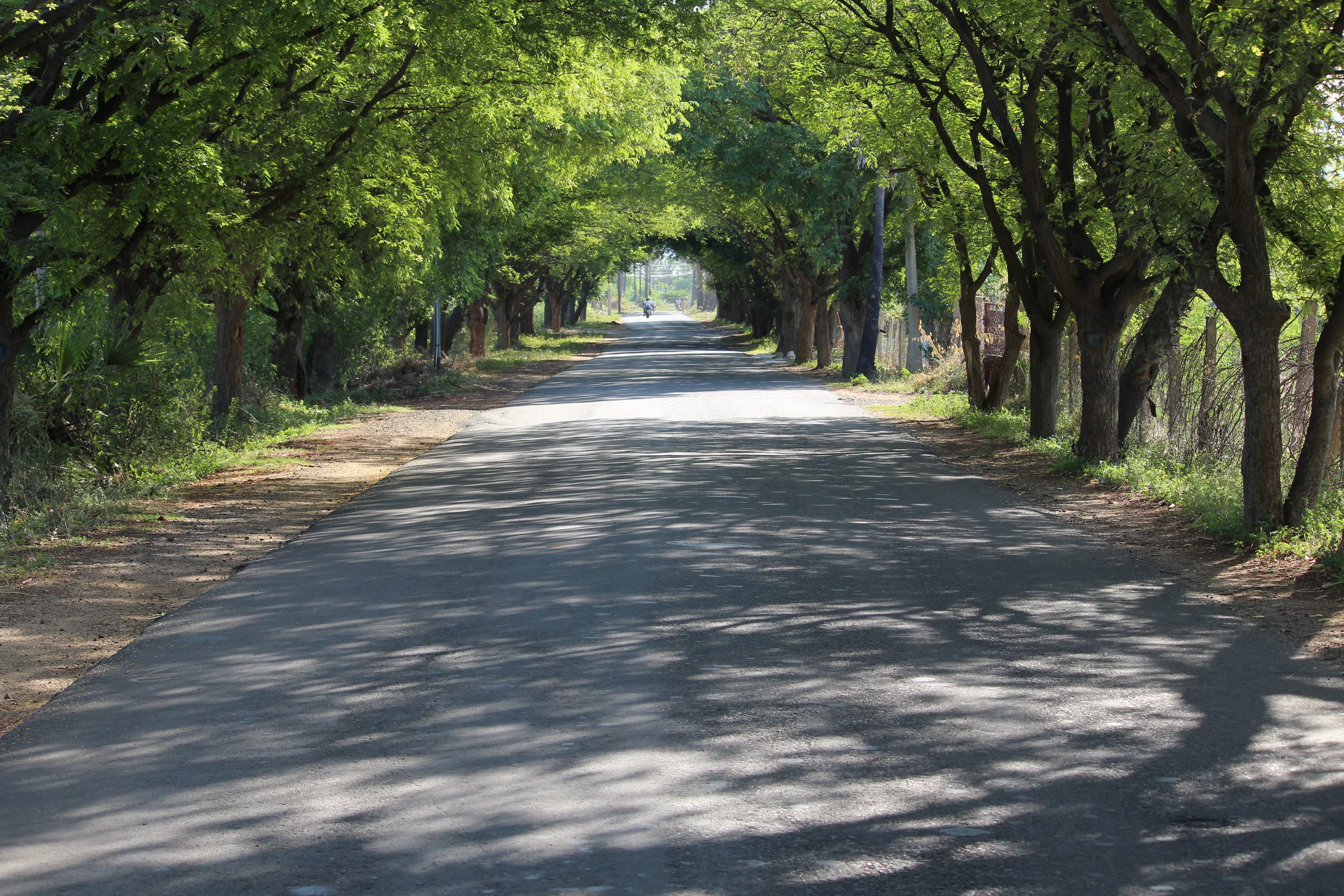 Village Road Wallpapers - Top Free Village Road Backgrounds ...