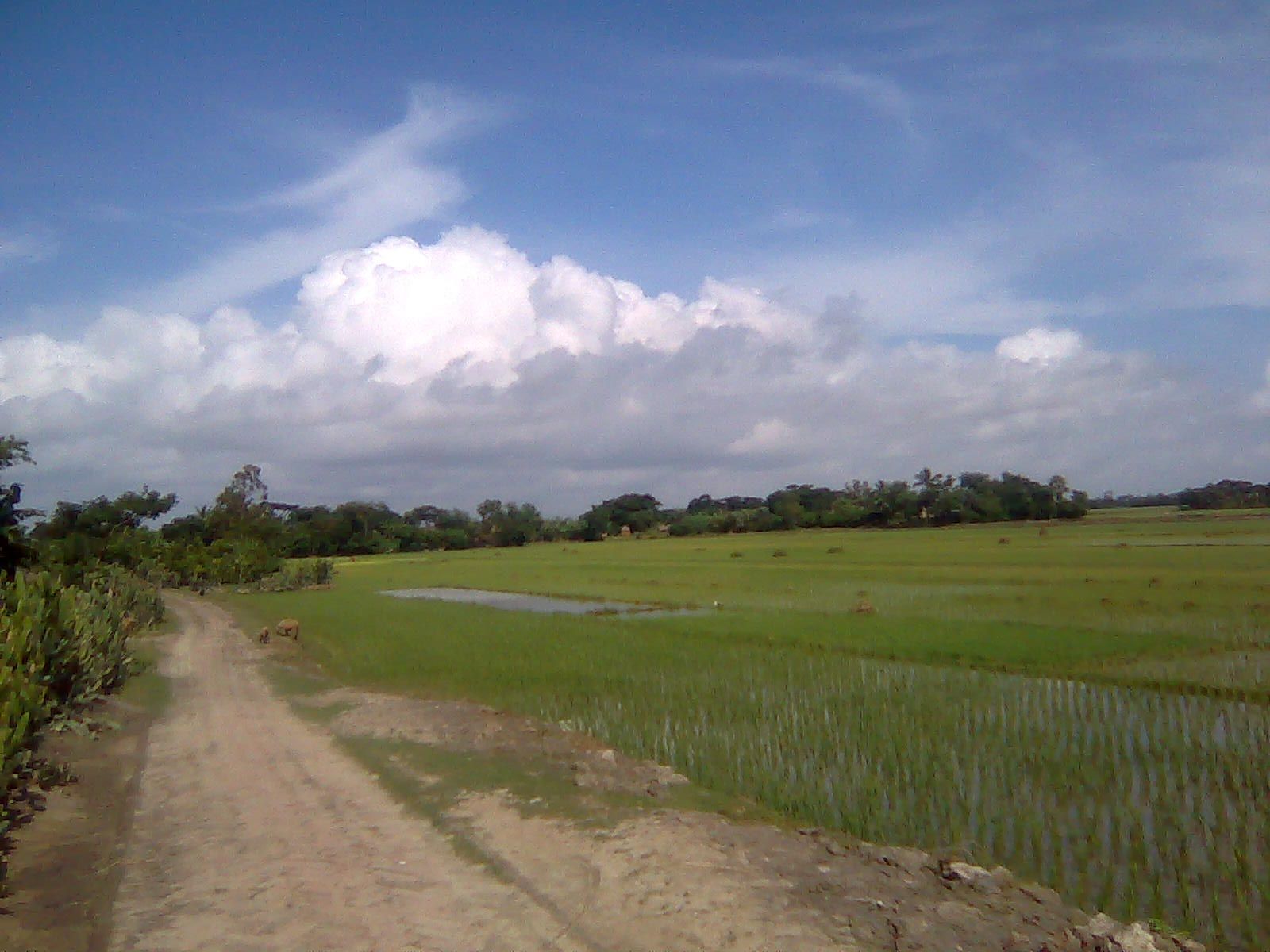 Village Road Wallpapers - Top Free Village Road Backgrounds ...