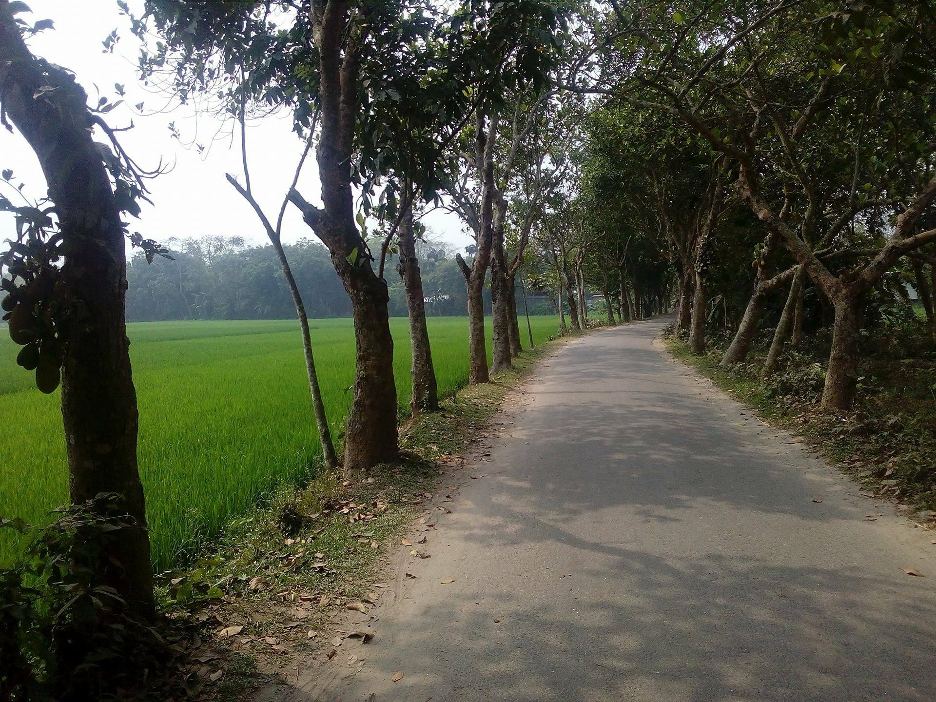 Village Road Wallpapers - Top Free Village Road Backgrounds ...