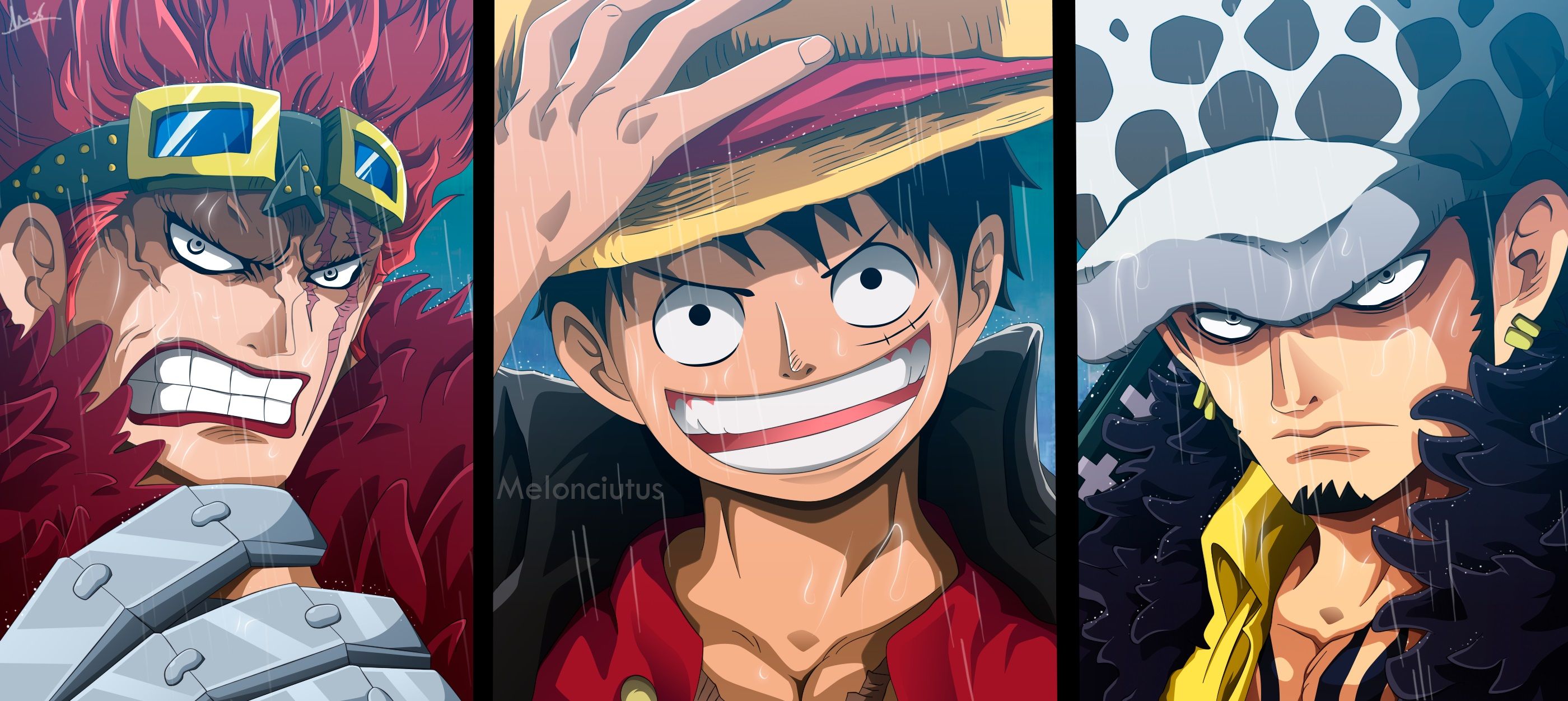 Little Luffy Wallpapers - Top Free Little Luffy Backgrounds ...