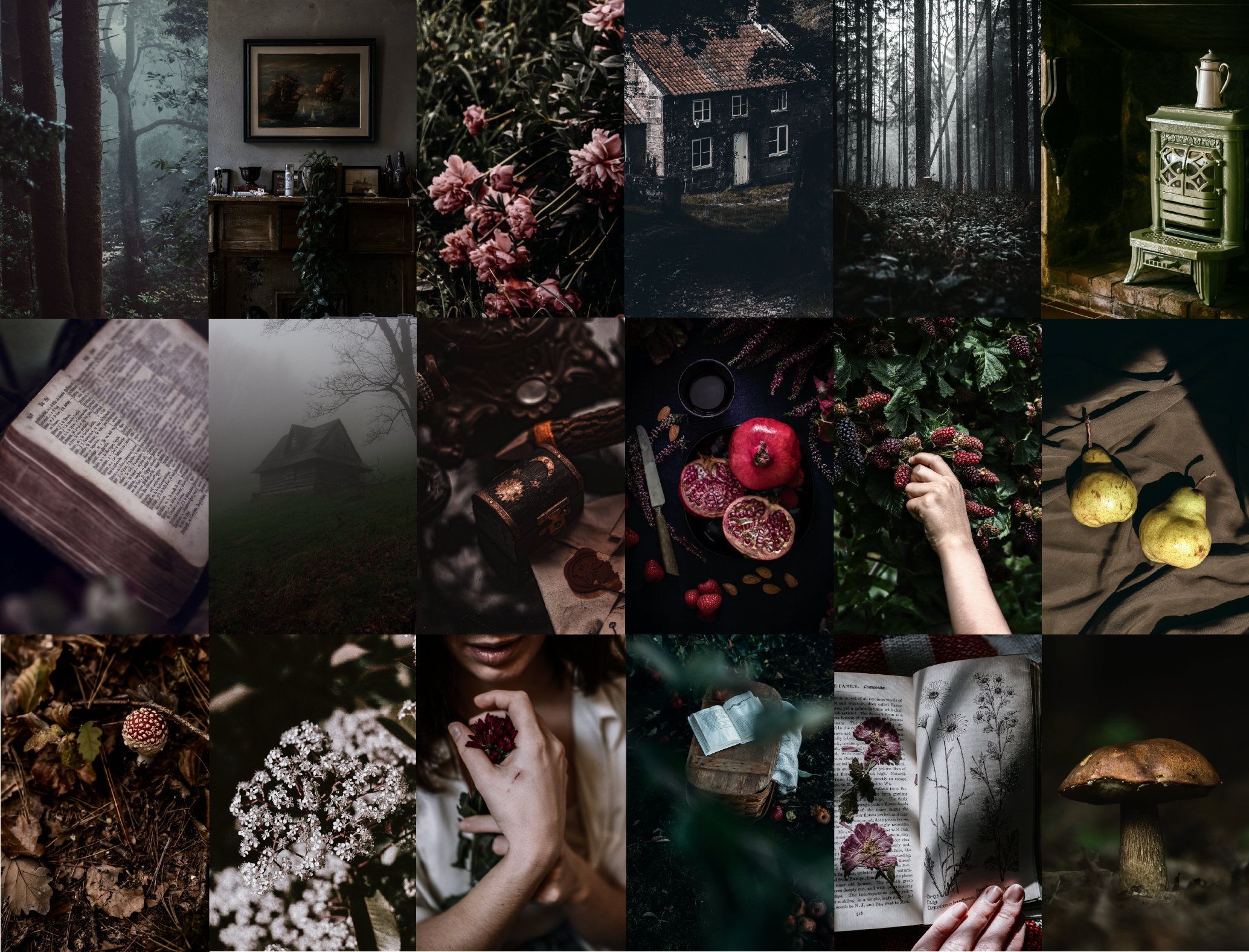 Dark Cottagecore Wallpapers - Top Free Dark Cottagecore Backgrounds ...