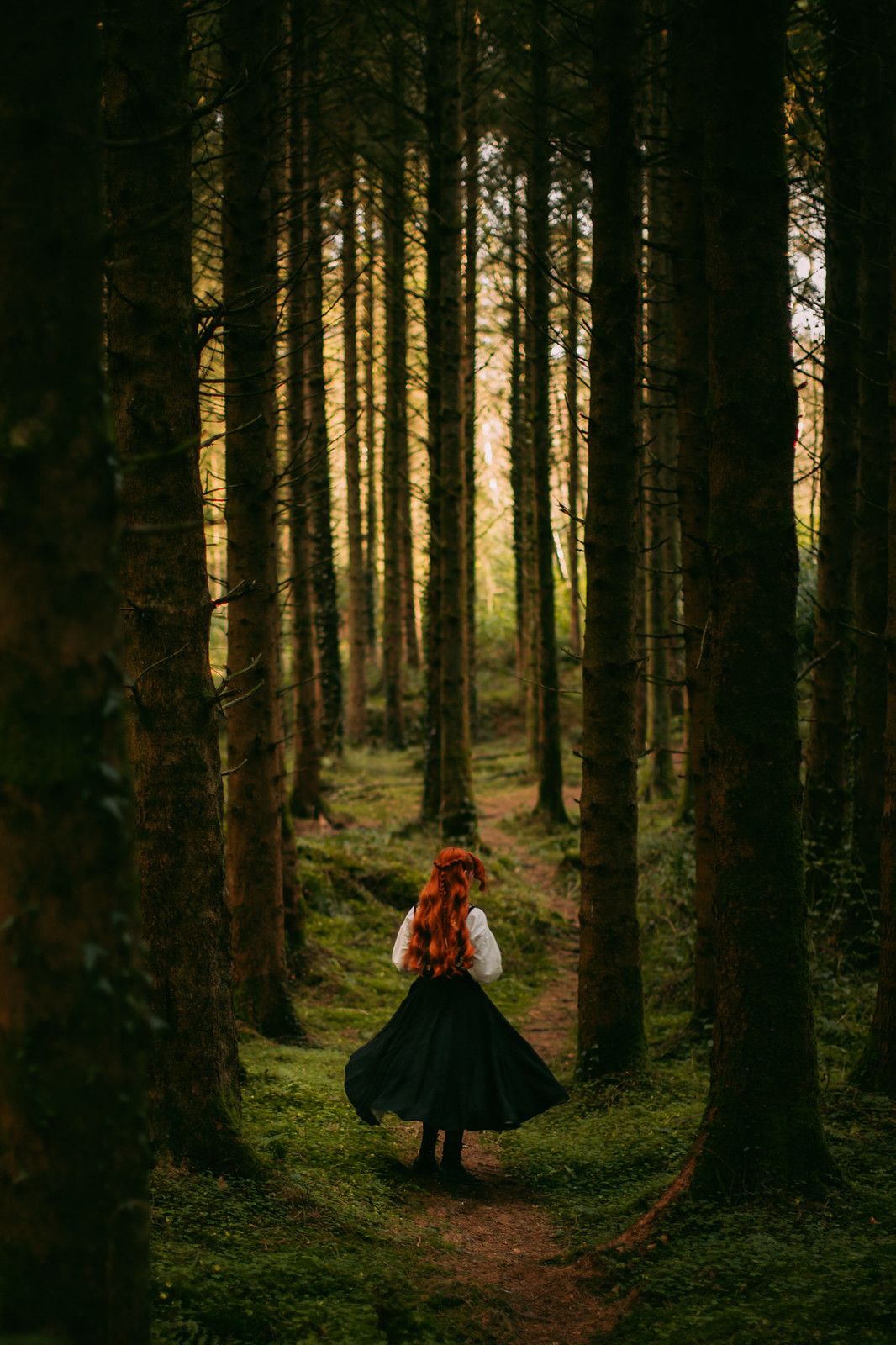 Dark Cottagecore Wallpapers - Top Free Dark Cottagecore Backgrounds ...