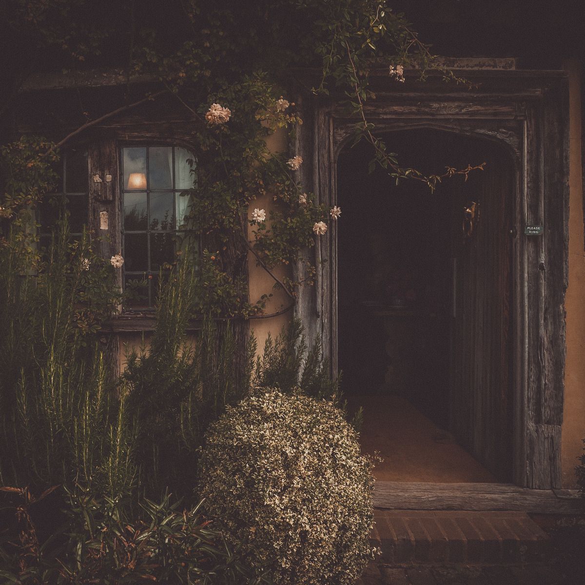 Dark Cottagecore Wallpapers - Top Free Dark Cottagecore Backgrounds - WallpaperAccess
