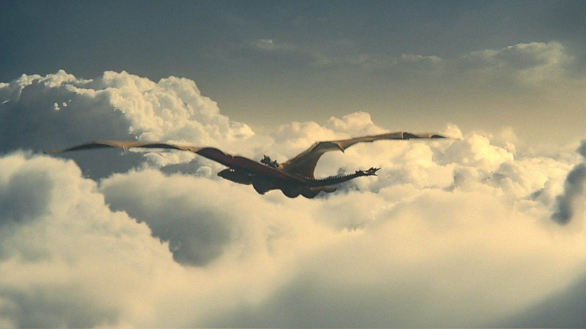 Syrax Wallpapers - Top Free Syrax Backgrounds - WallpaperAccess