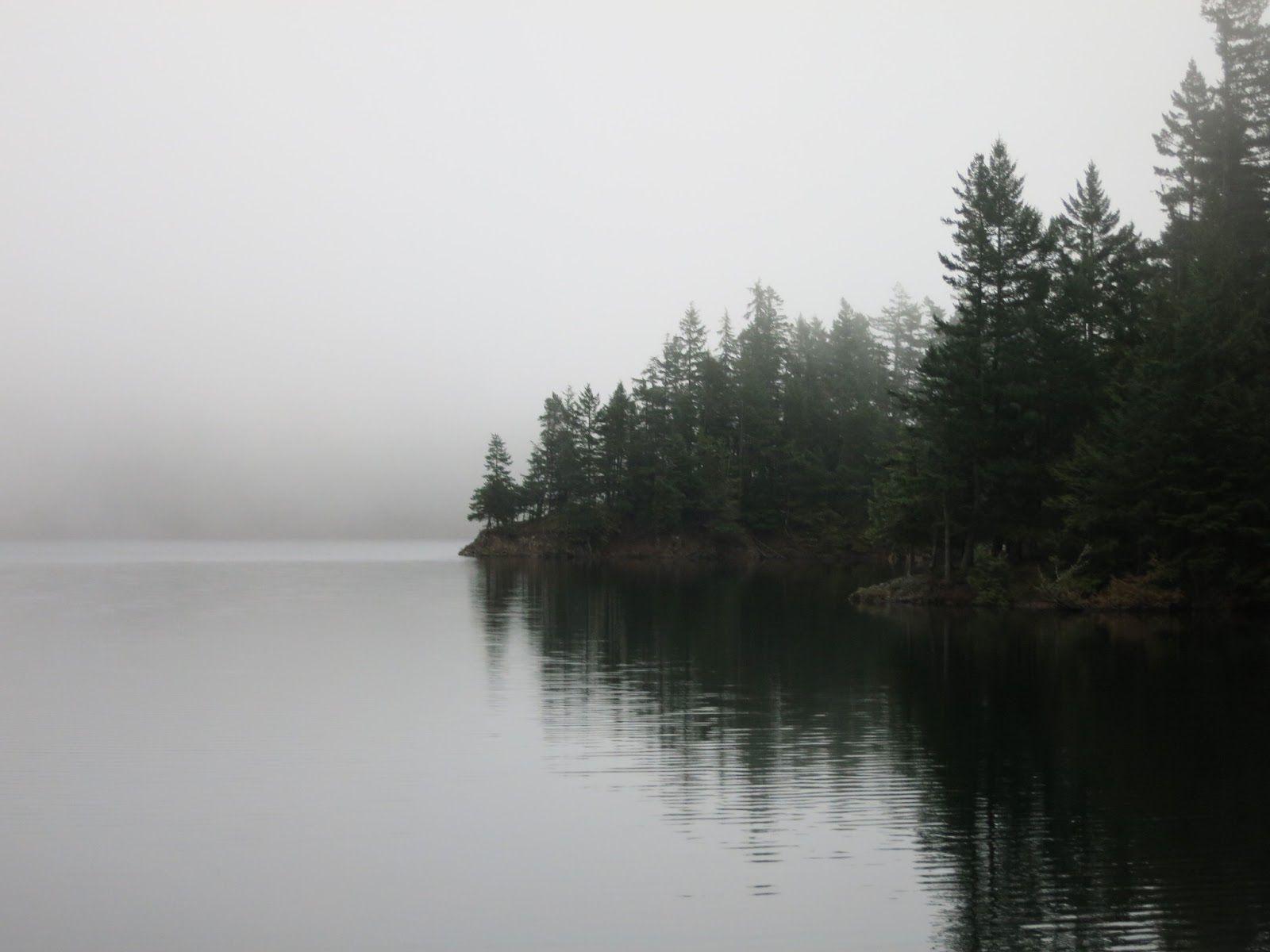 Pacific Northwest Fog Wallpapers - Top Free Pacific Northwest Fog ...