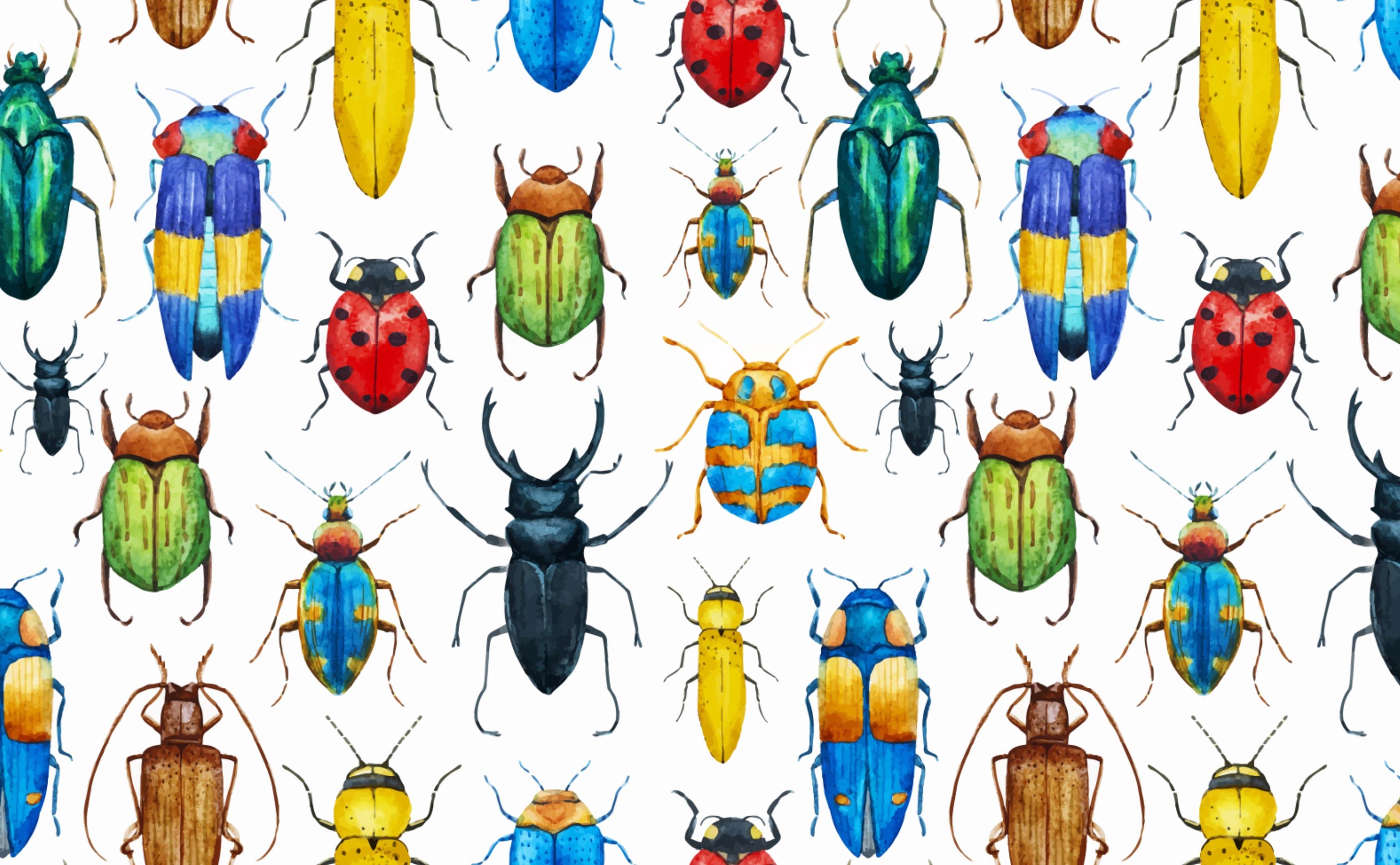 Entomology Wallpapers - Top Free Entomology Backgrounds - WallpaperAccess
