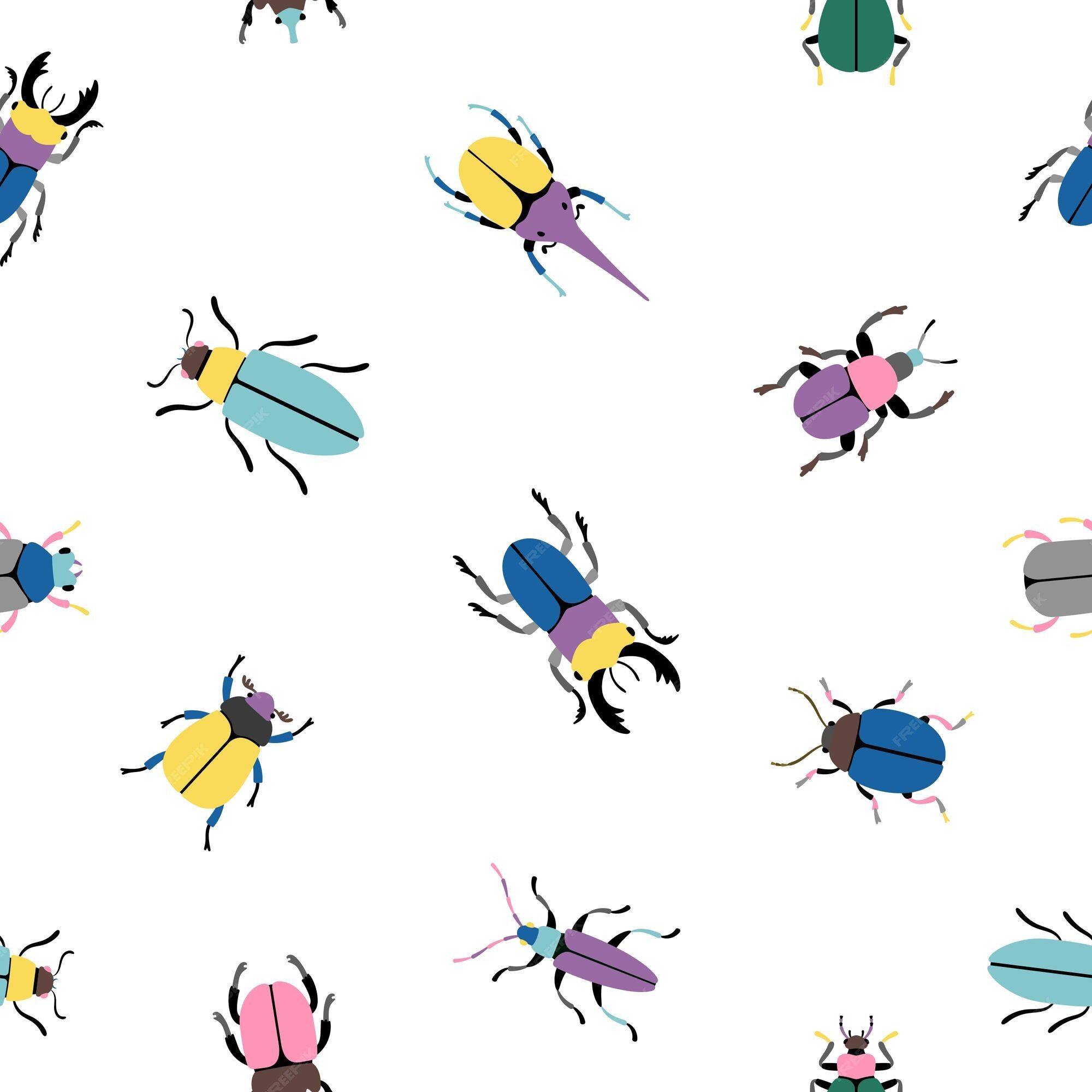 Entomology Wallpapers - Top Free Entomology Backgrounds - WallpaperAccess