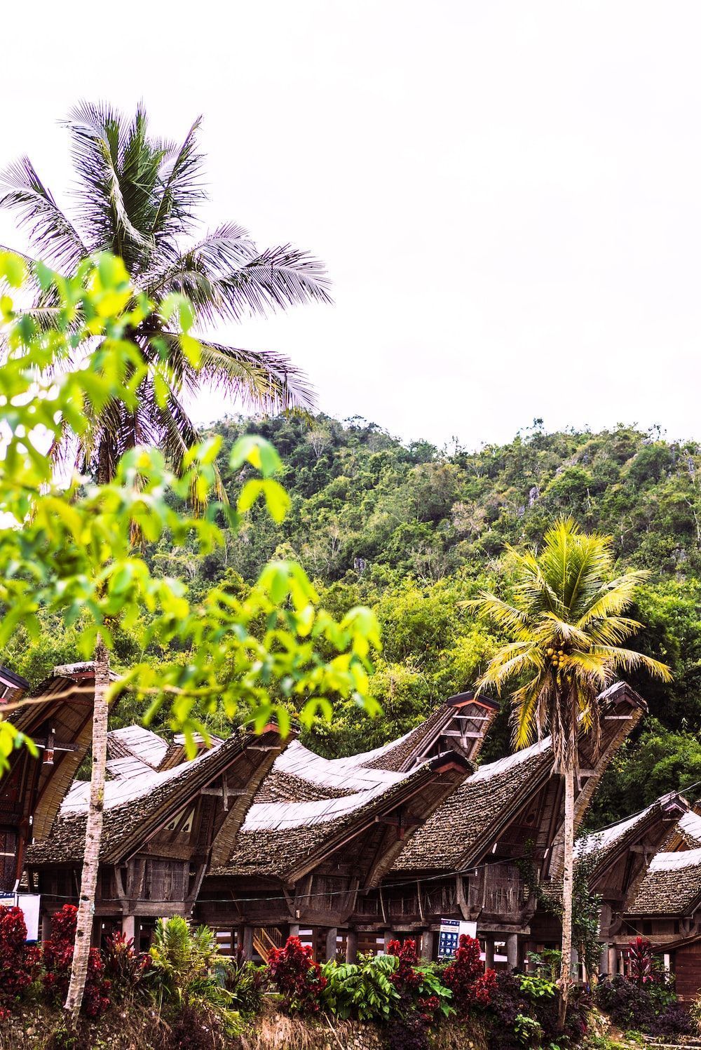 Toraja Wallpapers - Top Free Toraja Backgrounds - WallpaperAccess