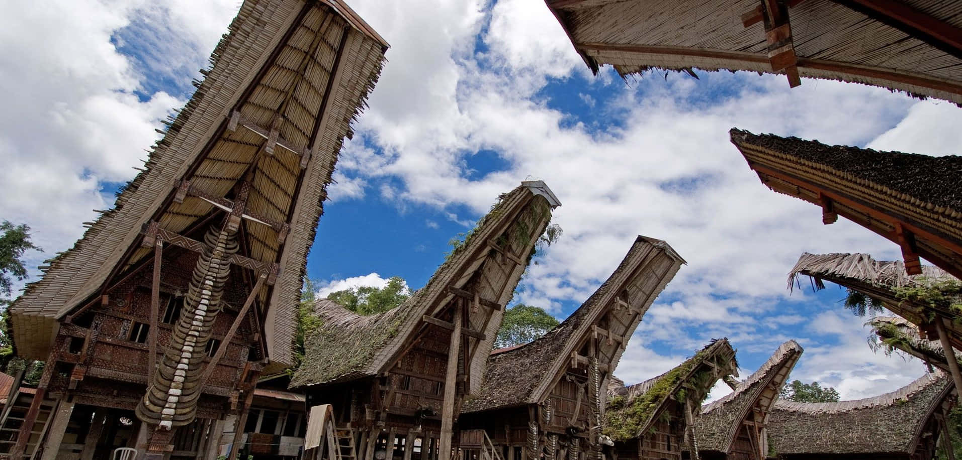 Toraja Wallpapers - Top Free Toraja Backgrounds - WallpaperAccess