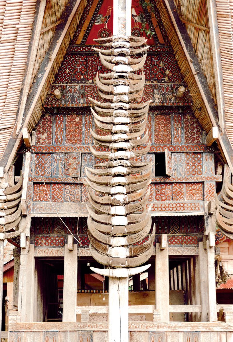 Toraja Wallpapers - Top Free Toraja Backgrounds - WallpaperAccess
