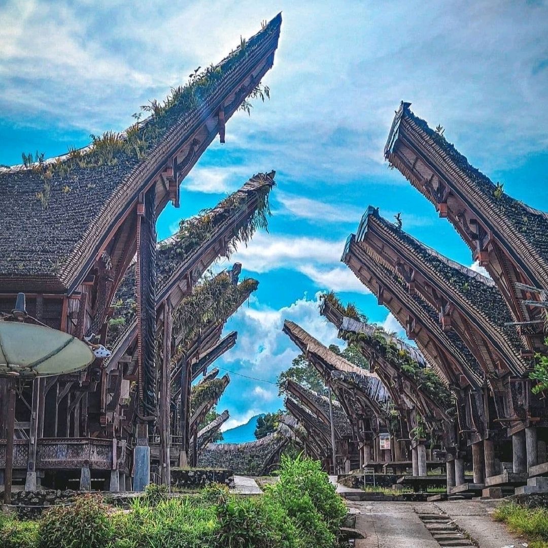 Toraja Wallpapers - Top Free Toraja Backgrounds - WallpaperAccess