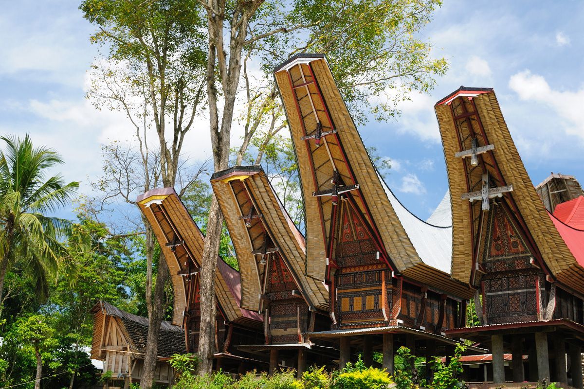 Toraja Wallpapers - Top Free Toraja Backgrounds - WallpaperAccess