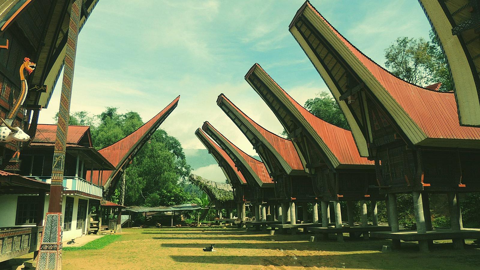 Toraja Wallpapers - Top Free Toraja Backgrounds - WallpaperAccess