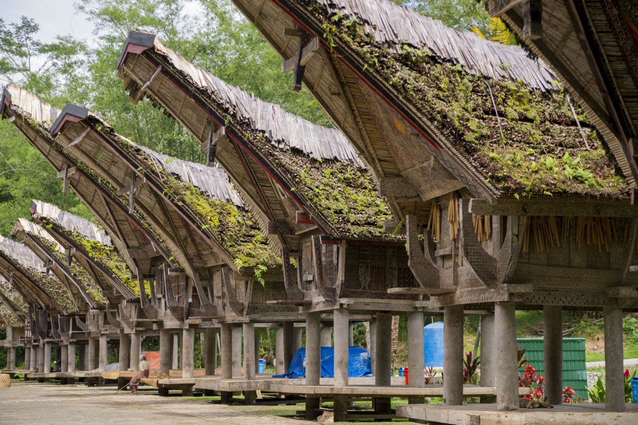 Toraja Wallpapers - Top Free Toraja Backgrounds - WallpaperAccess