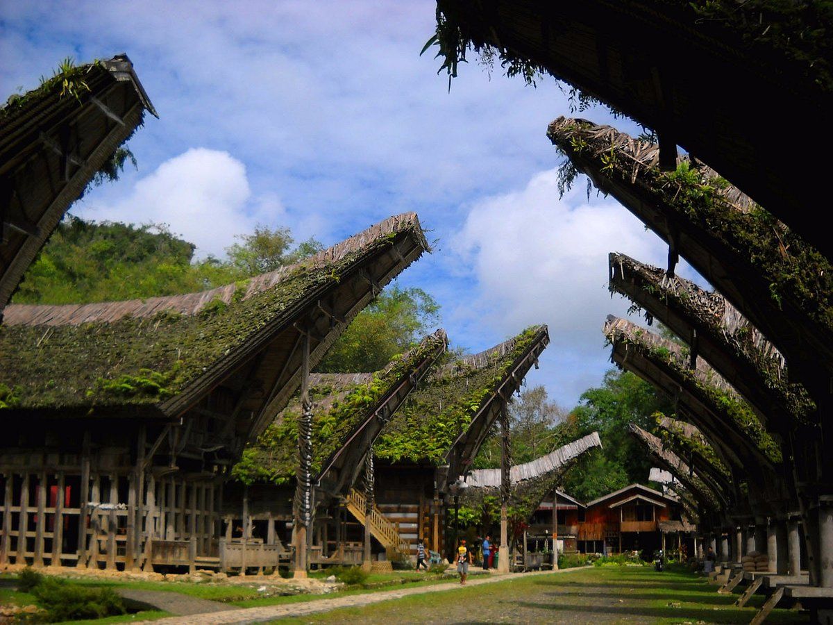 Toraja Wallpapers - Top Free Toraja Backgrounds - WallpaperAccess