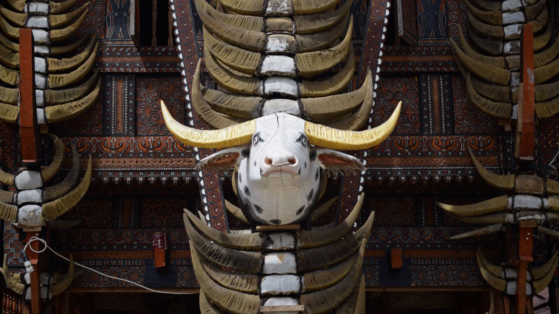 Toraja Wallpapers - Top Free Toraja Backgrounds - WallpaperAccess