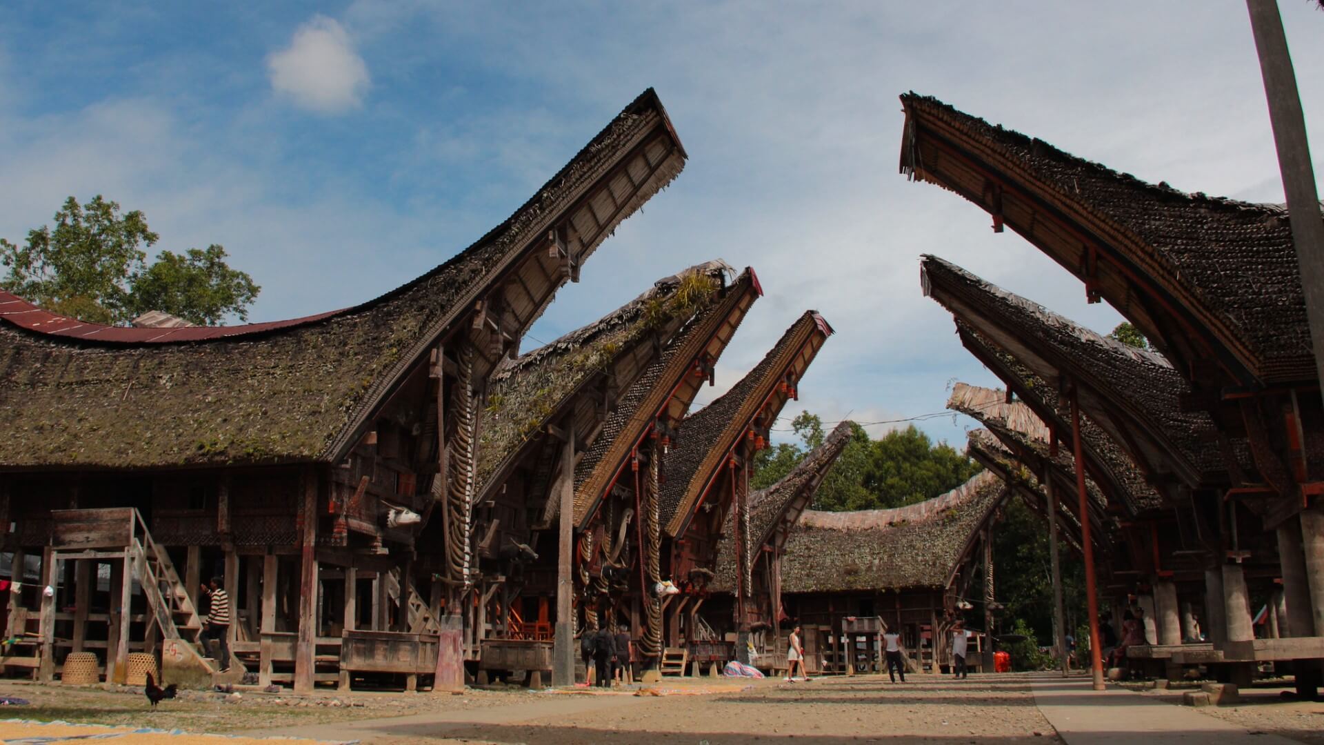 Toraja Wallpapers - Top Free Toraja Backgrounds - WallpaperAccess