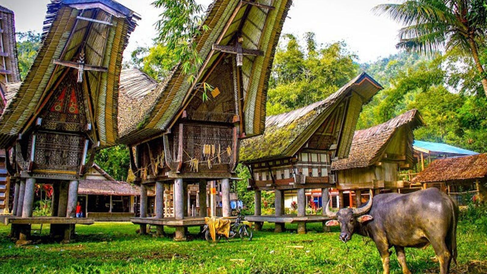 Toraja Wallpapers - Top Free Toraja Backgrounds - WallpaperAccess