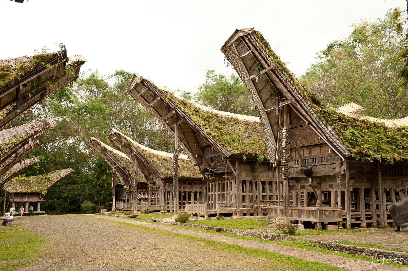 Toraja Wallpapers - Top Free Toraja Backgrounds - WallpaperAccess
