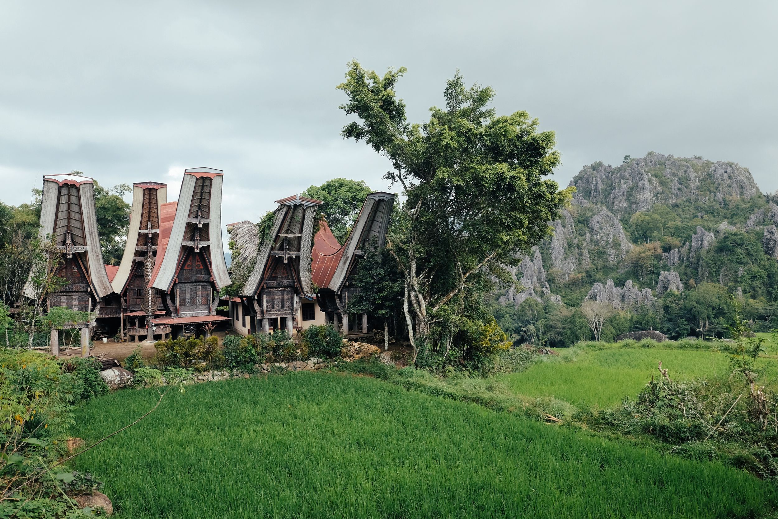 Toraja Wallpapers - Top Free Toraja Backgrounds - WallpaperAccess